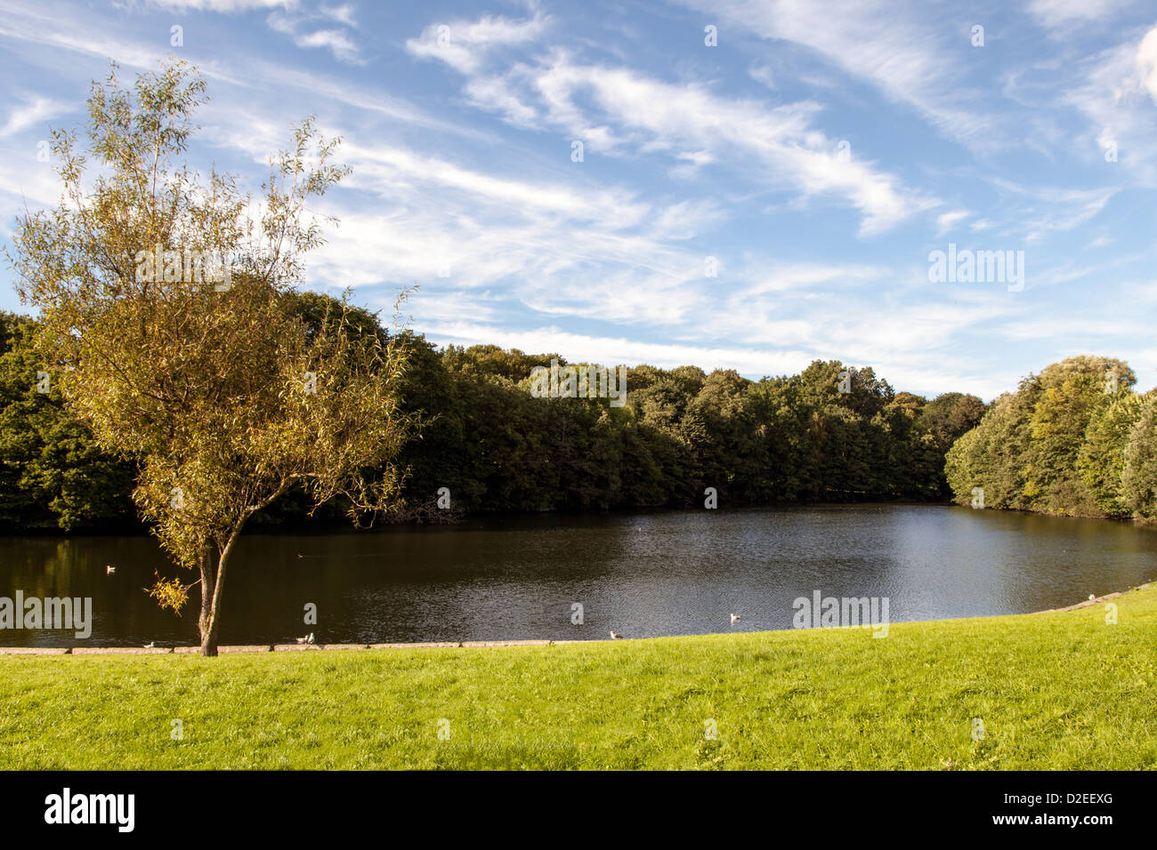 Oslo lake hi-res stock photography and images - Alamy