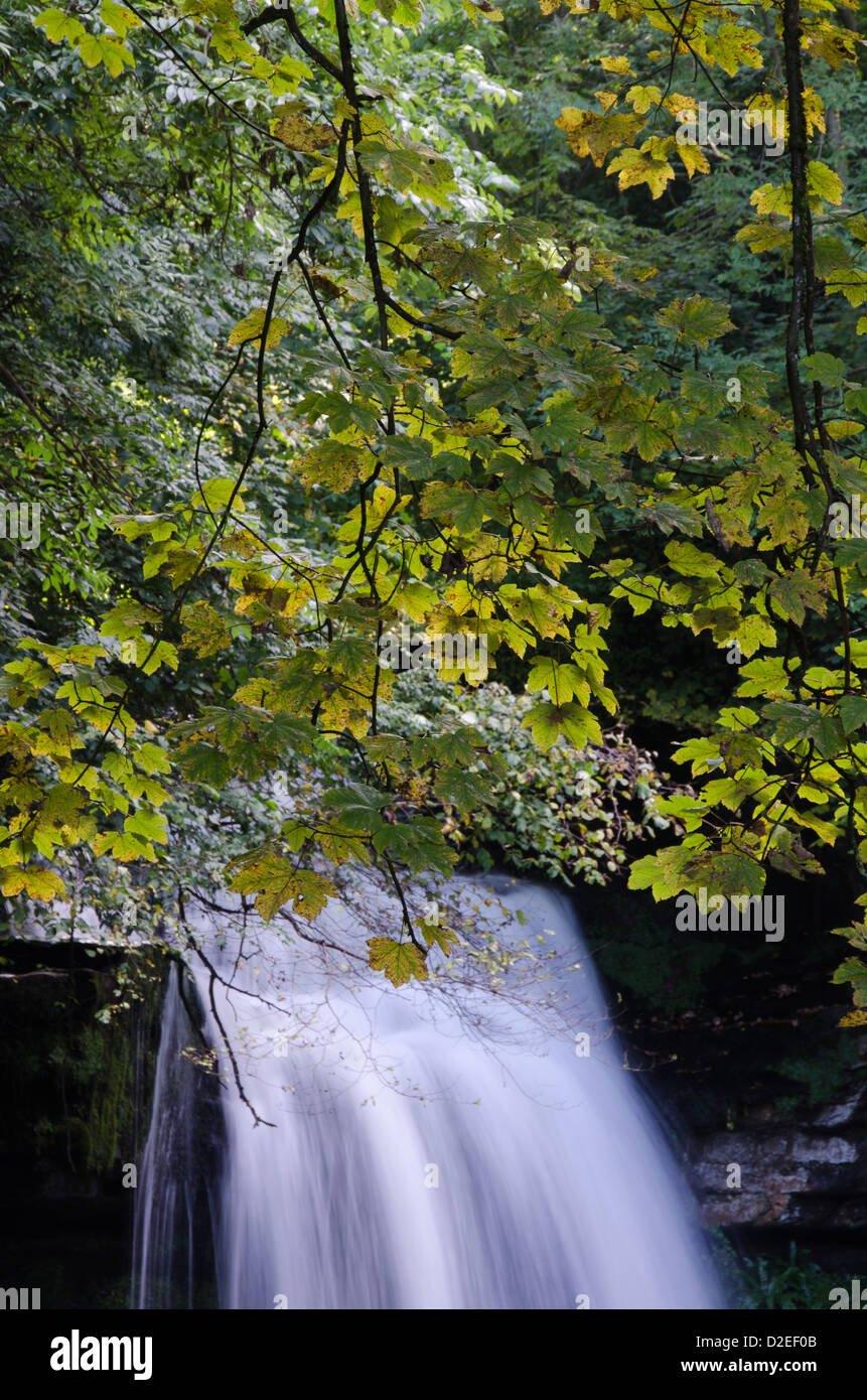 Waterfall and trees hi-res stock photography and images - Alamy