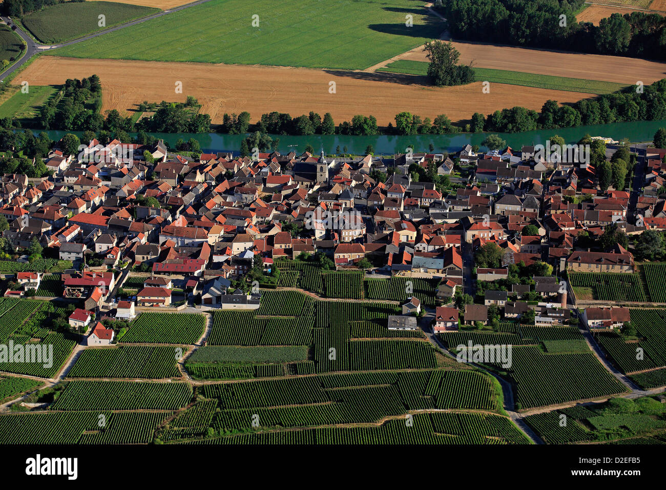 France, Marne (51), Cumieres, a village in the Champagne vineyards ...