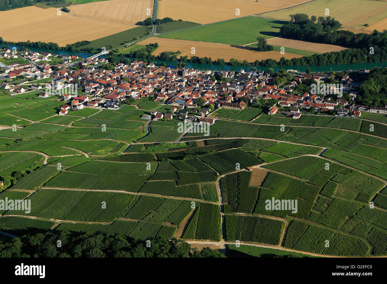 France, Marne (51), Cumieres, a village in the Champagne vineyards ...