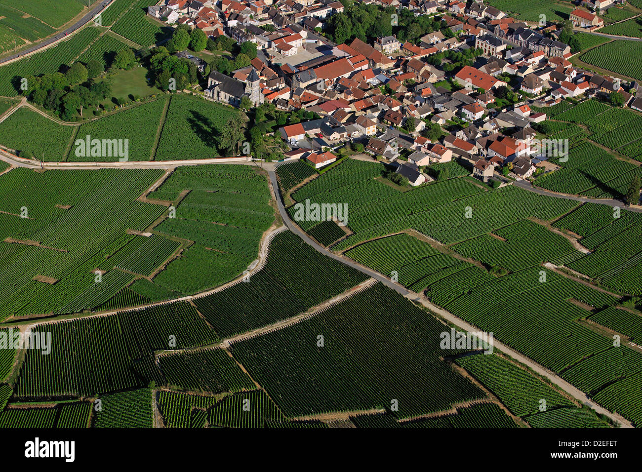France, Marne (51), Oger village in the Champagne vineyards, towns and ...