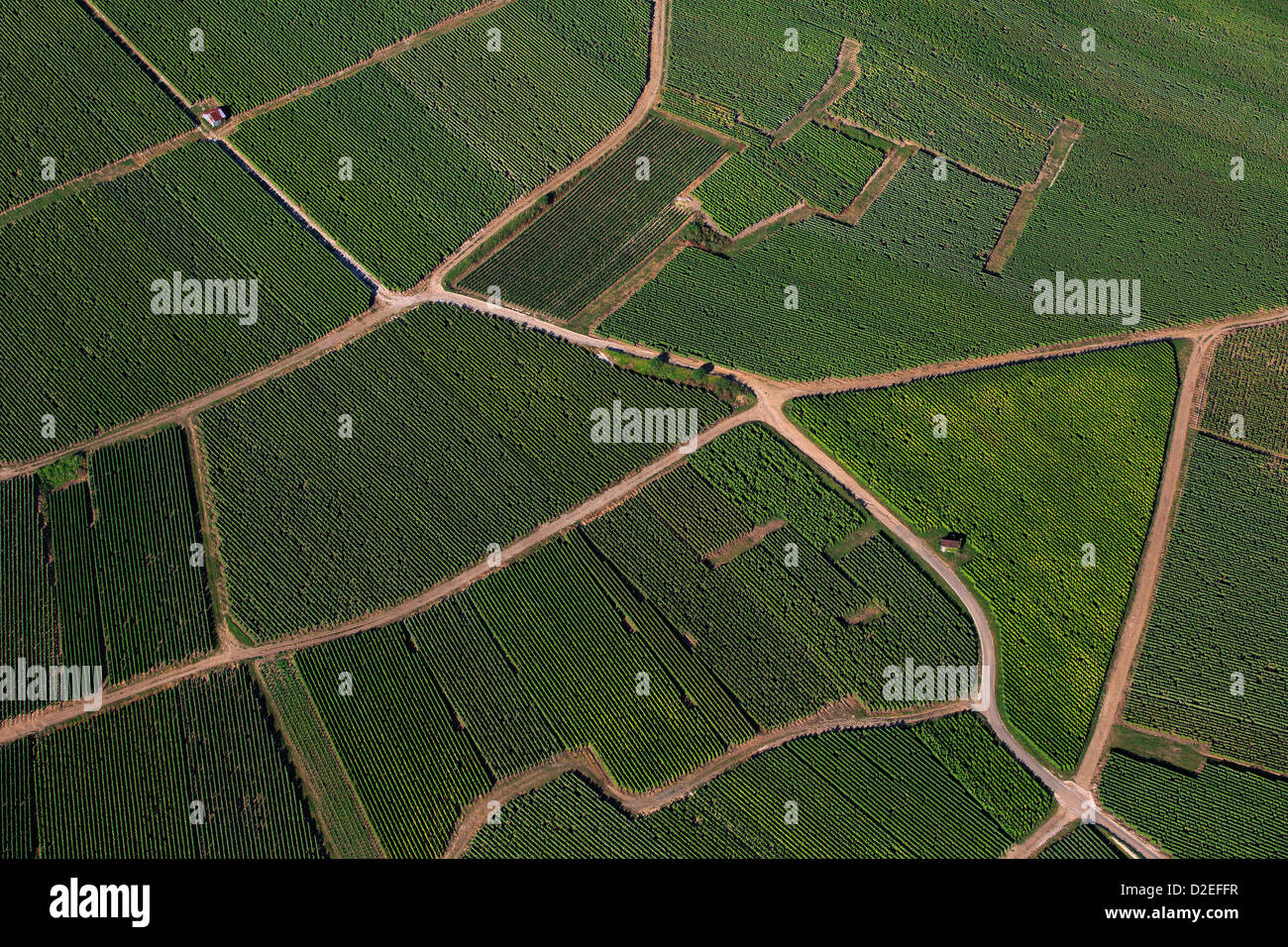 Champagne Landscape High Resolution Stock Photography and Images - Alamy
