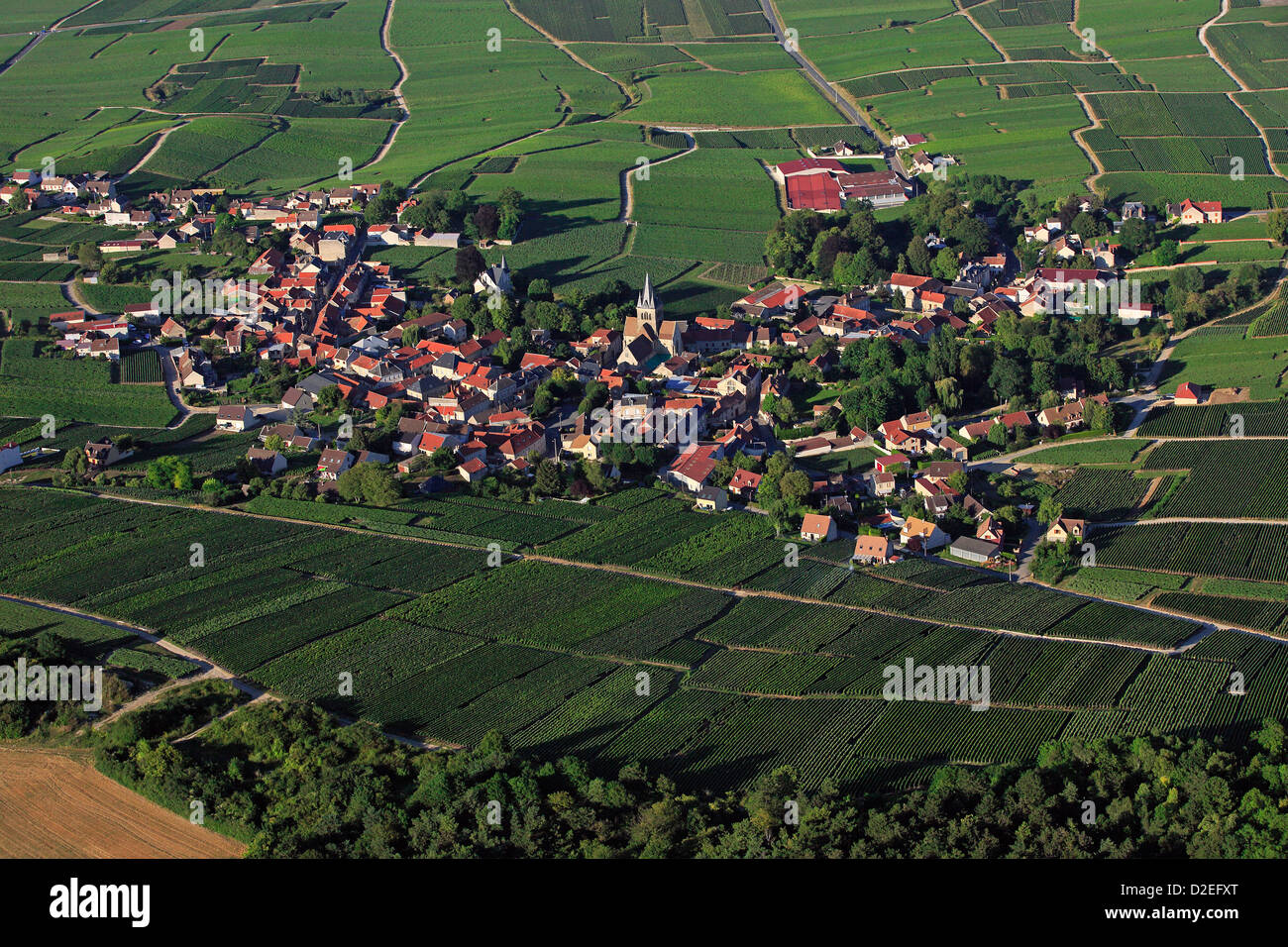 France, Marne (51), Ville-Dommange village of vineyard of champagne ...