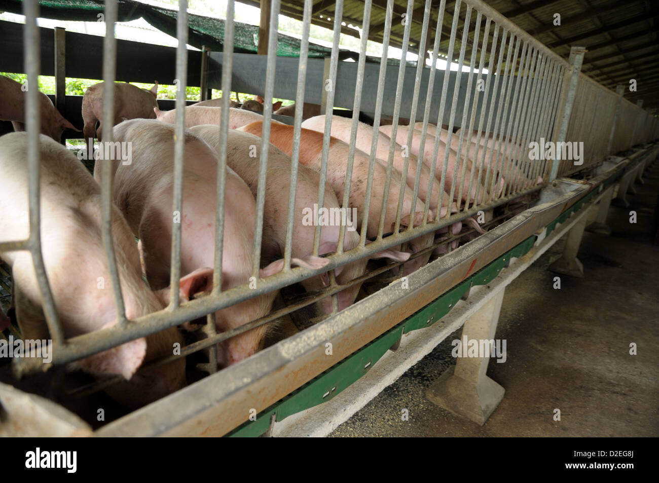 Thai style house hi-res stock photography and images - Alamy