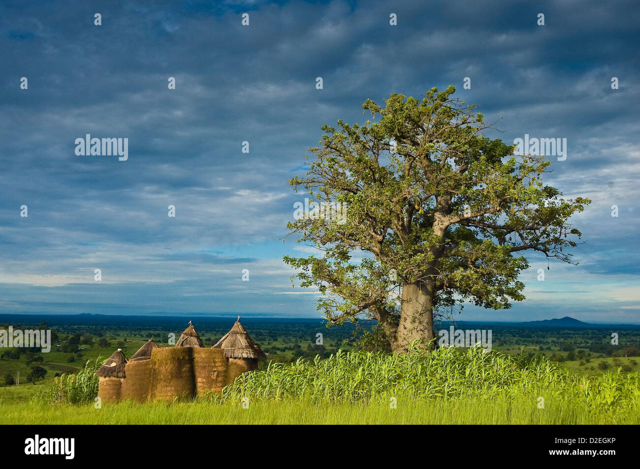 Benin, Atacora County, Koutagou, Tata Somba made with banco (mud mixed ...