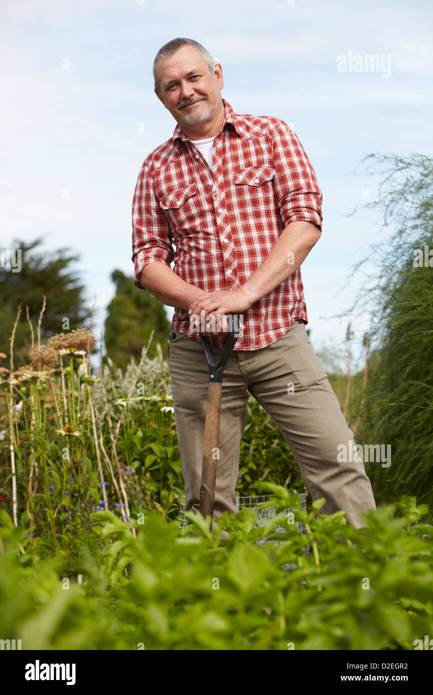 Portrait of mature man digging in garden allotment Stock Photo - Alamy