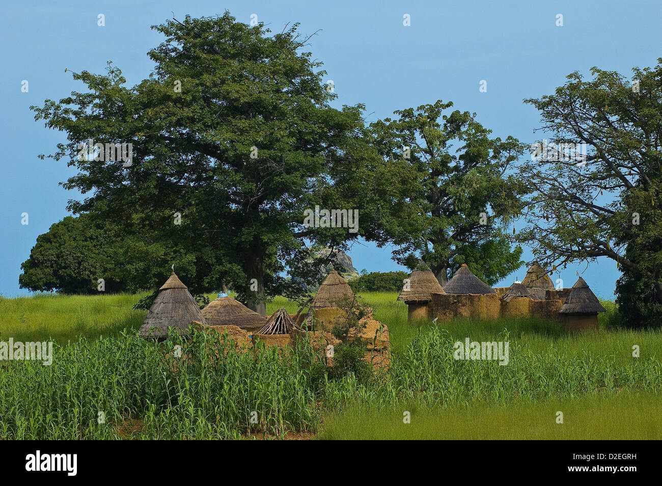 Benin, Atacora County, Koutagou, Tata Somba made with banco (mud mixed ...