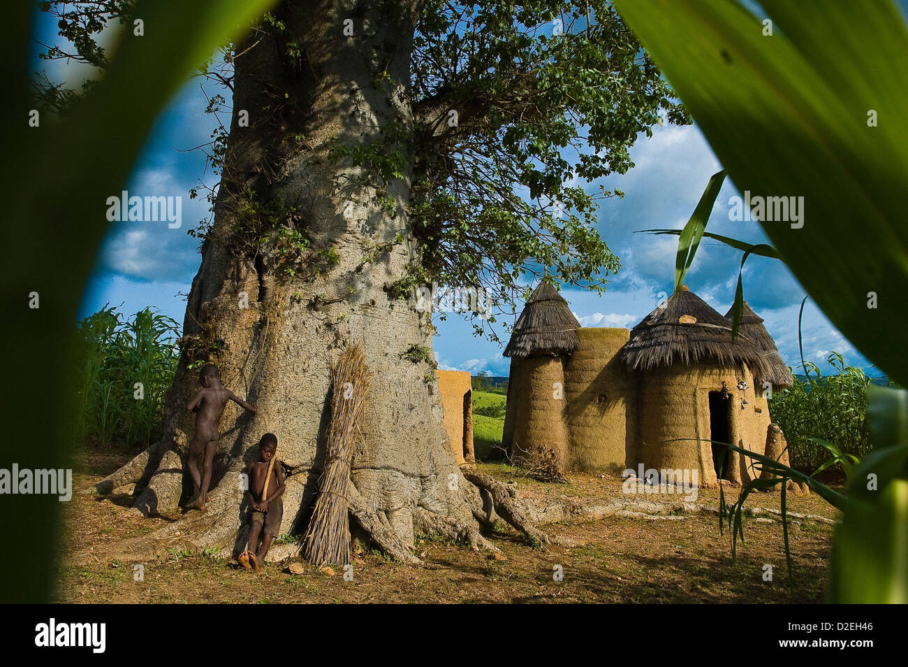 Benin child in front of a big tree Stock Photo - Alamy