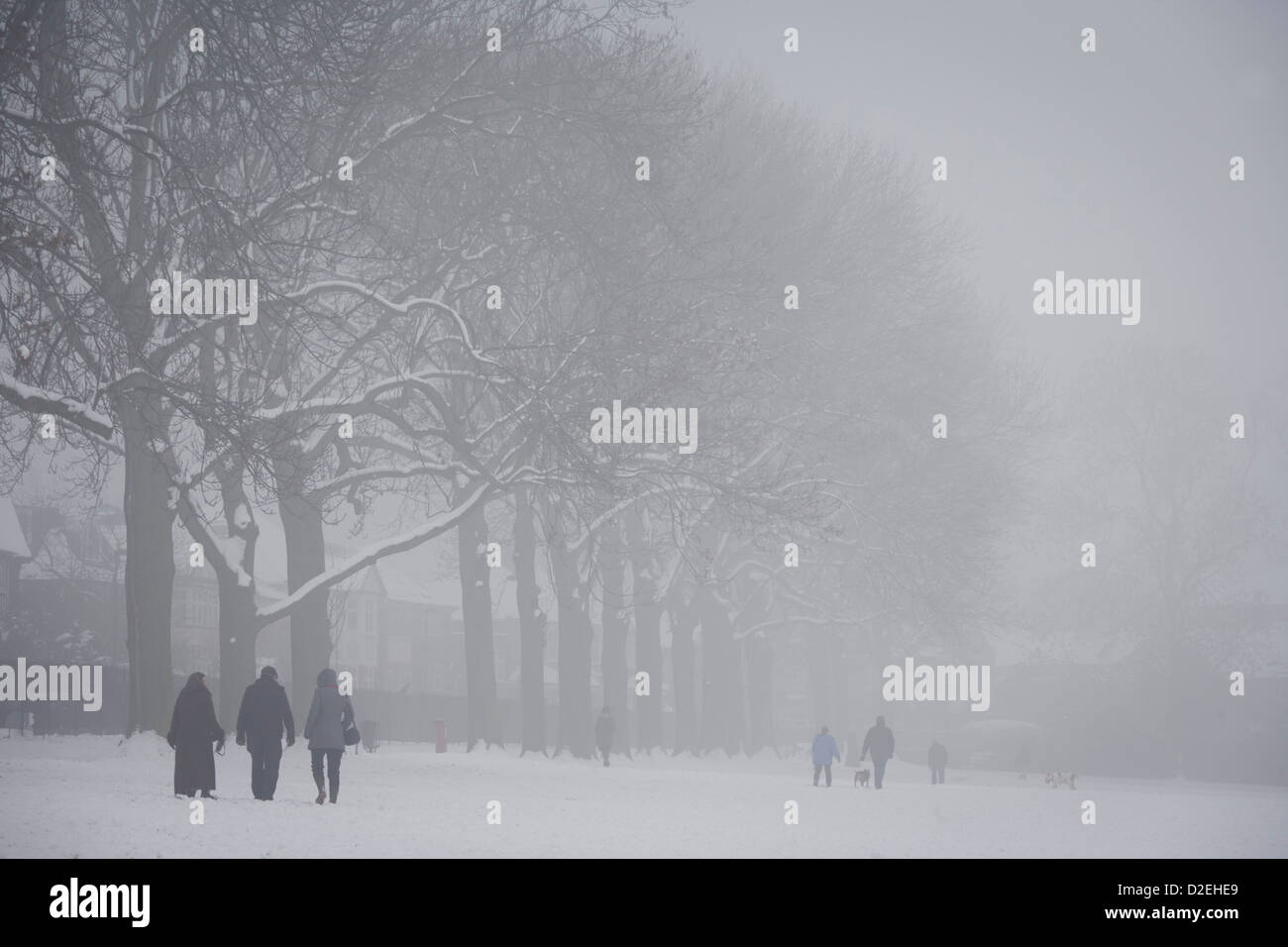 Walkers brave freezing temperatures in their local London park. During ...