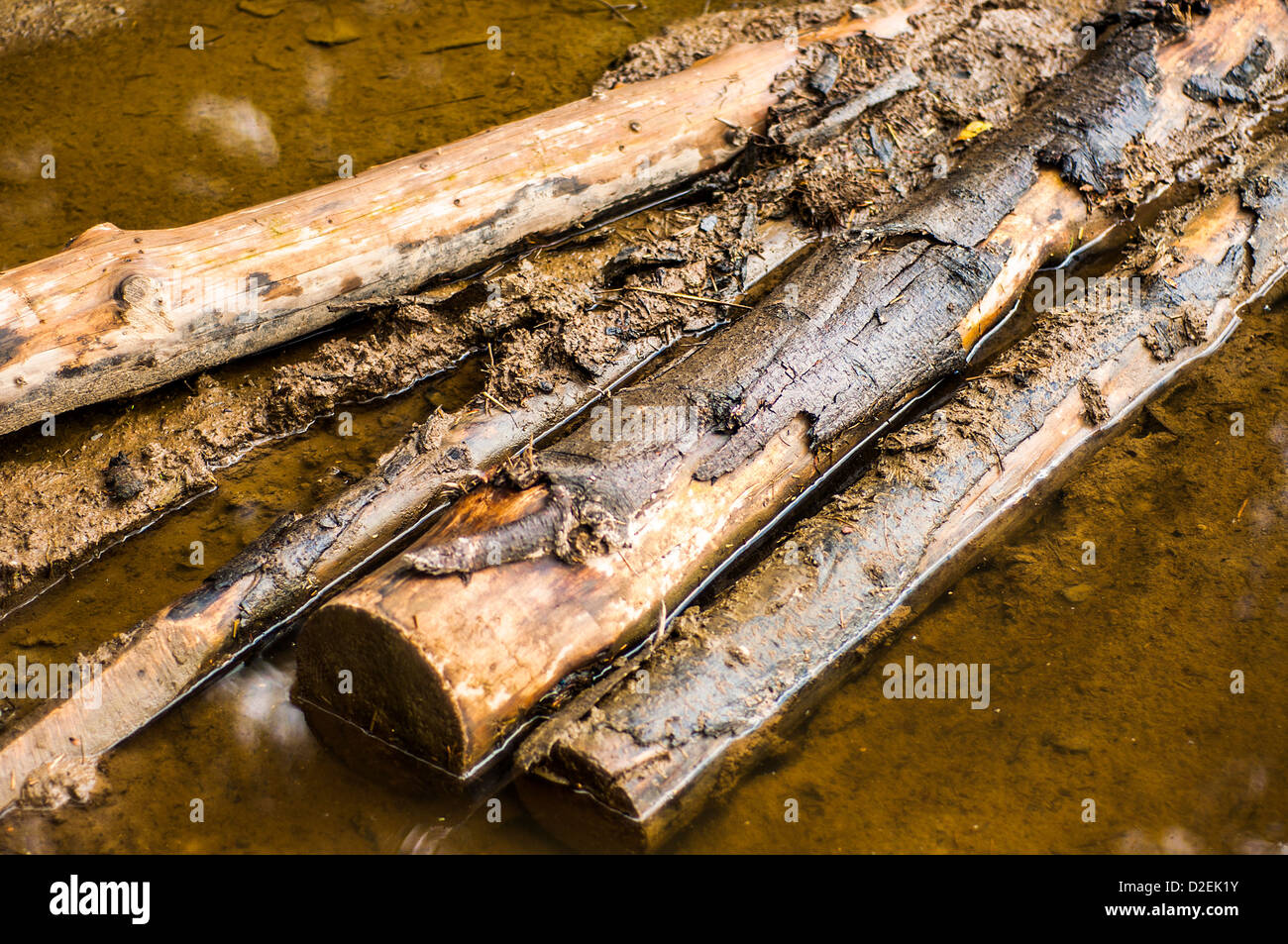 An image of wood lying in the water Stock Photo - Alamy