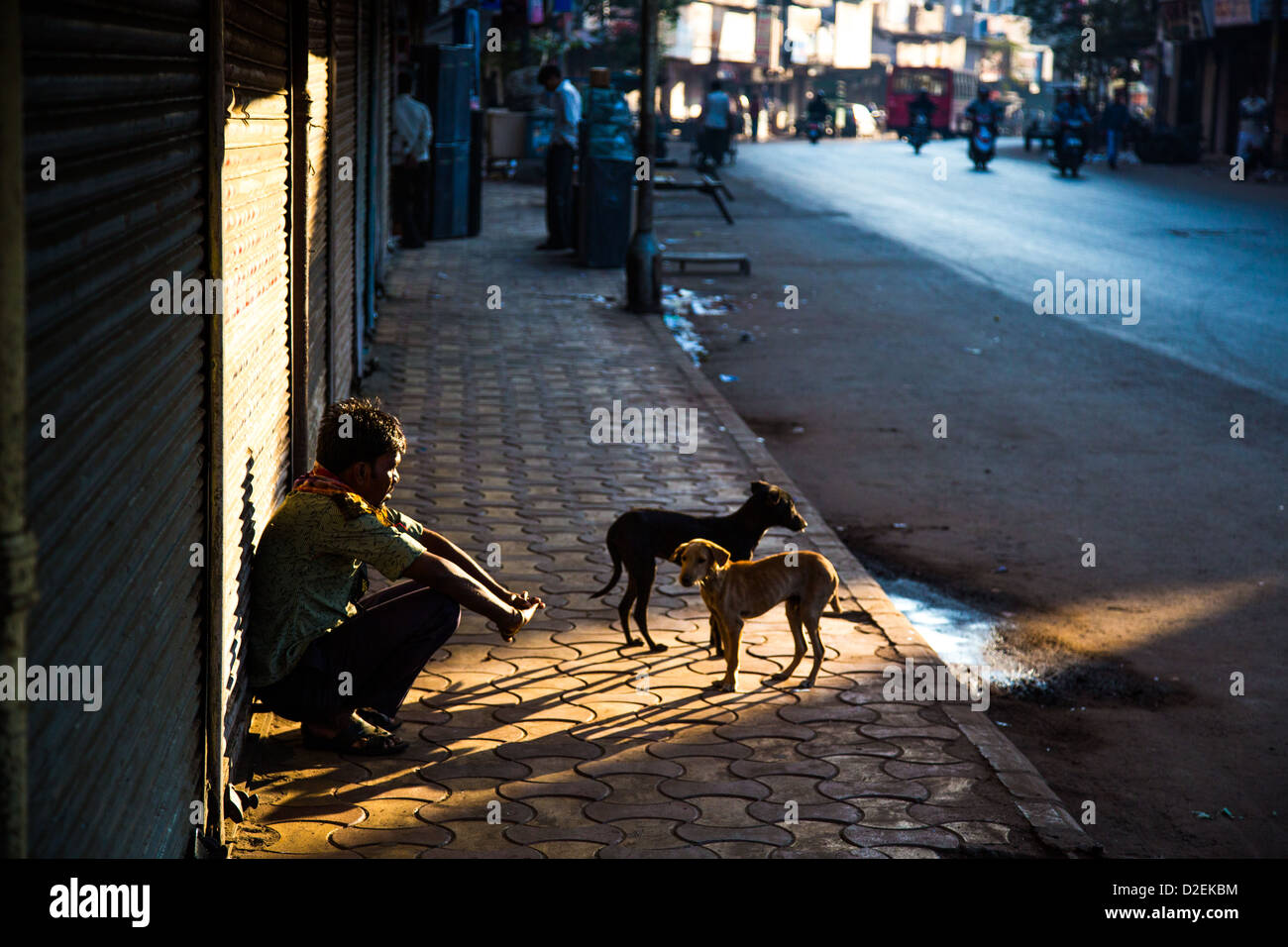 Indian street dogs hi-res stock photography and images - Alamy