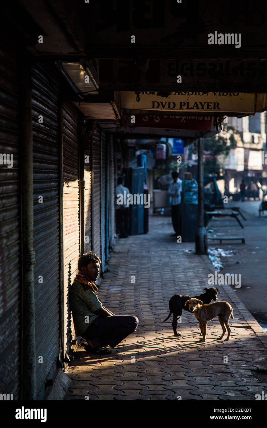 Indian street dogs hi-res stock photography and images - Alamy