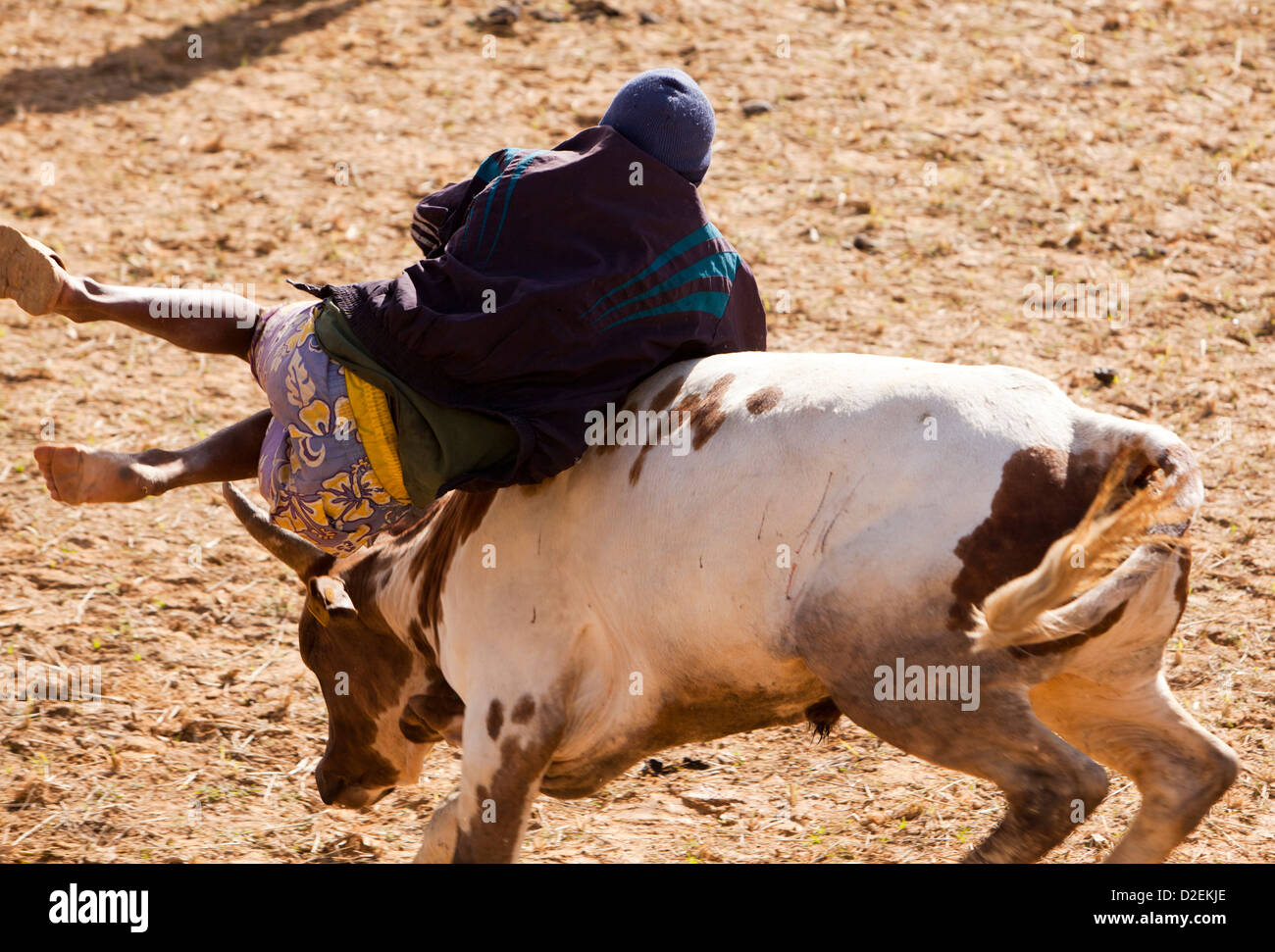 Savika hi-res stock photography and images - Alamy