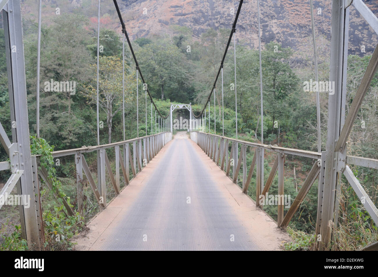 A Steel Fabricated bridge in the middle of the forest/tropical rain ...