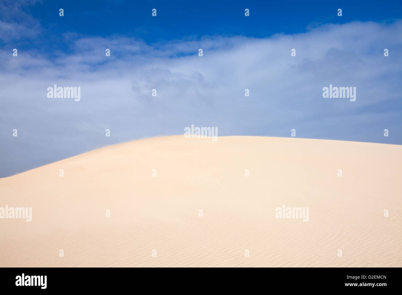 sand and sky dunes abstract, edge of the dune blurred by flying sand ...