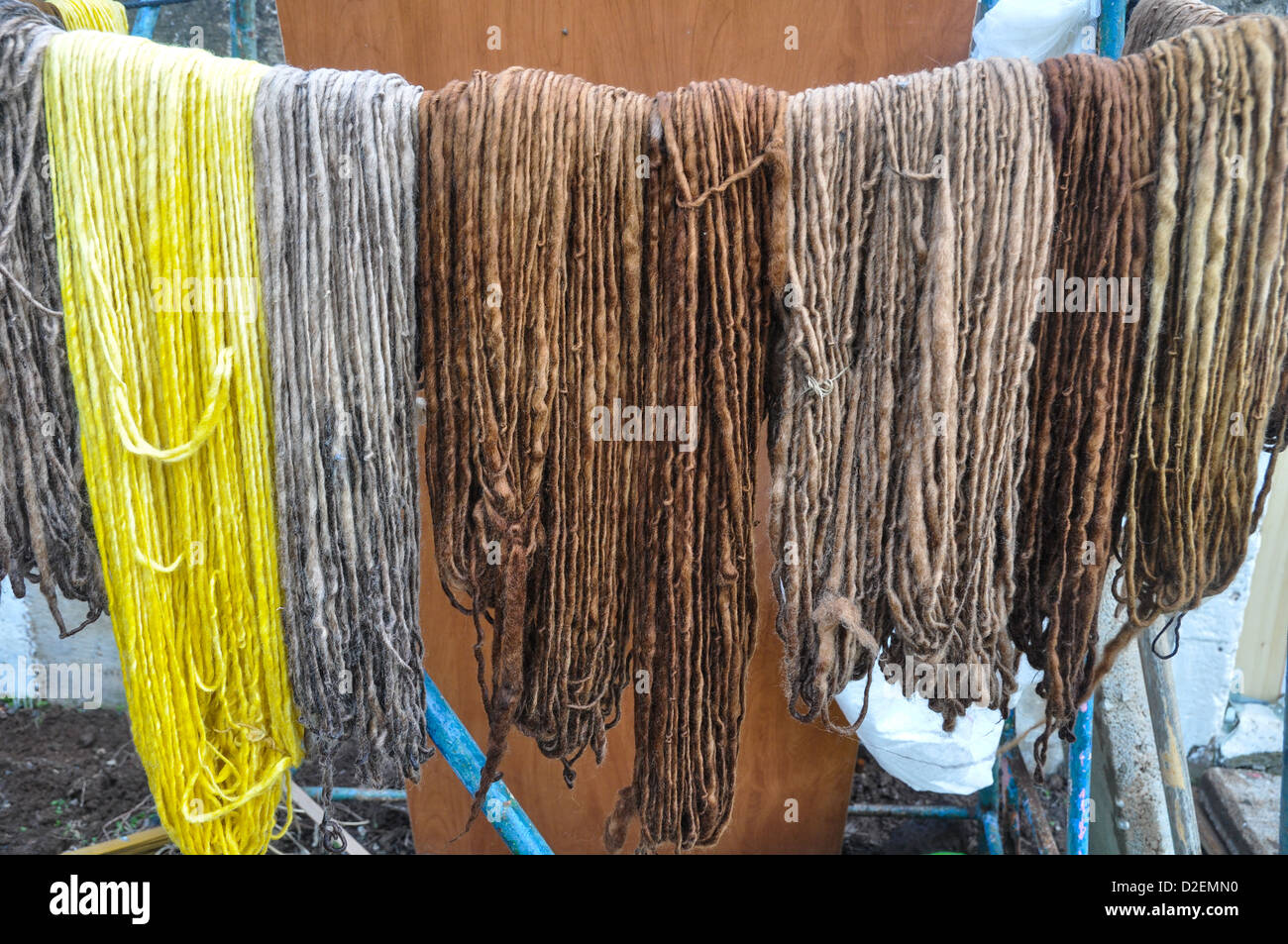 Hand spun wool dyed in natural colours Stock Photo - Alamy