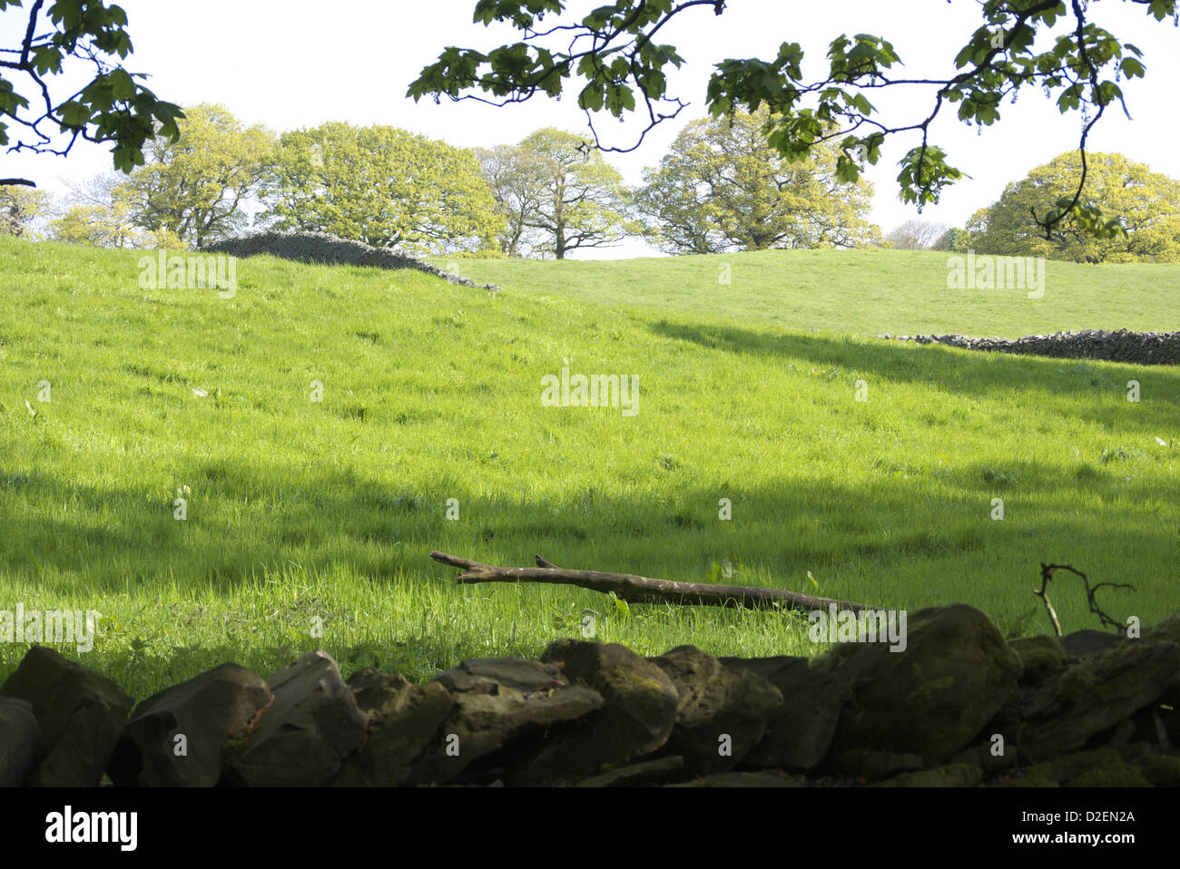 A quite field in the middle of the country side Stock Photo - Alamy