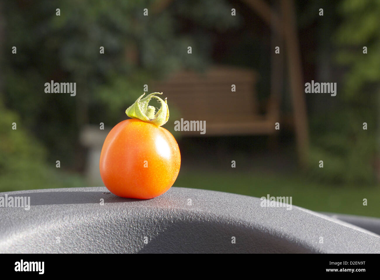 Full grown fruit hi-res stock photography and images - Alamy