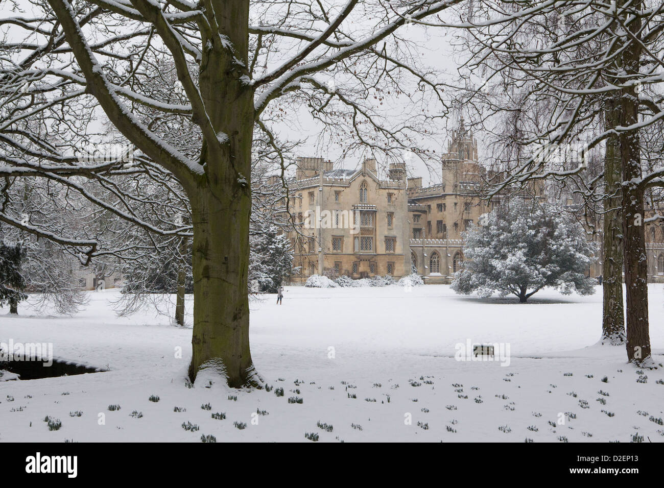 city of cambridge the backs cambridgeshire england uk gb Stock Photo ...