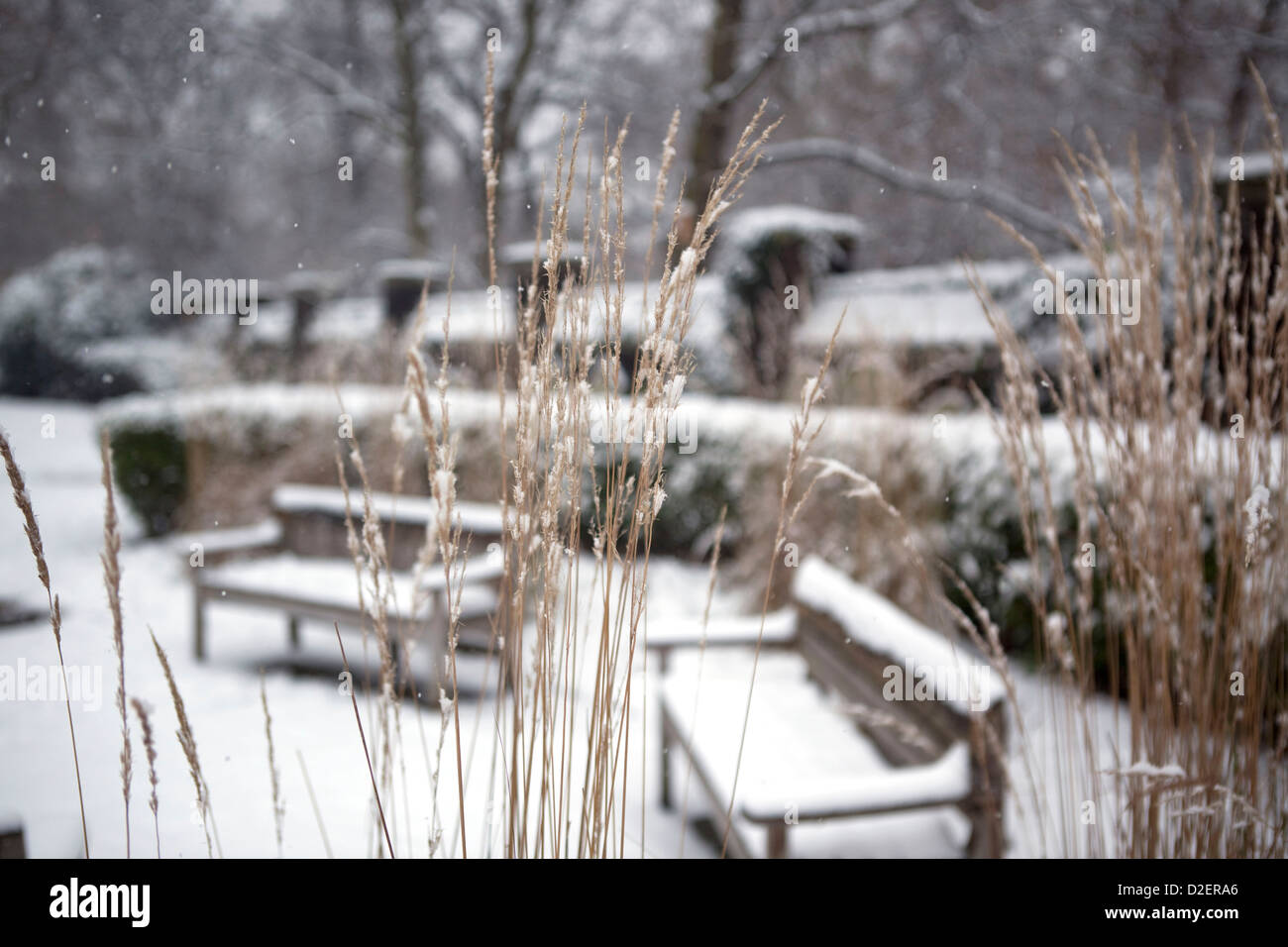Snow in St. George's Garden, Bloomsbury, London Stock Photo - Alamy
