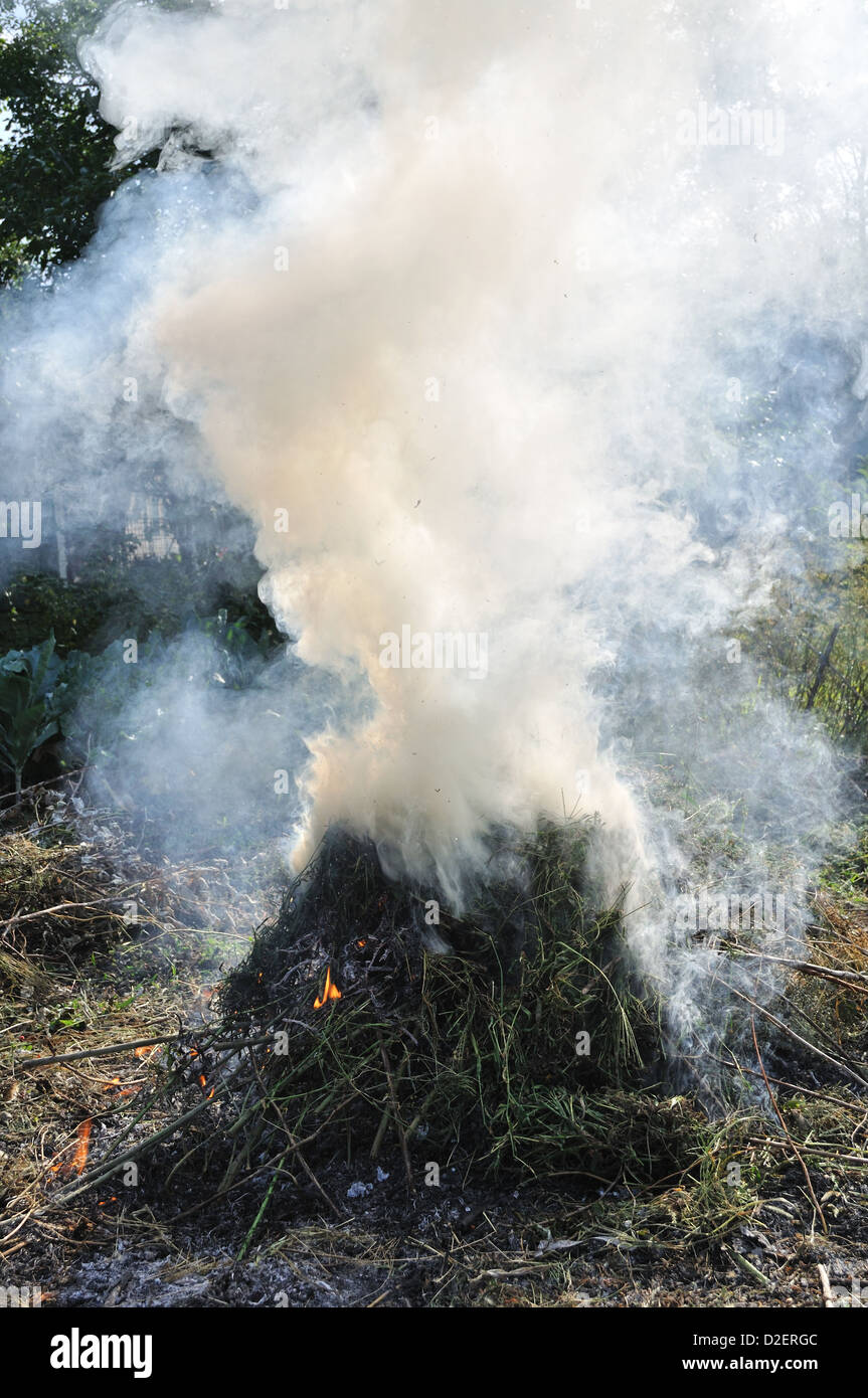 Burnt weed hi-res stock photography and images - Alamy