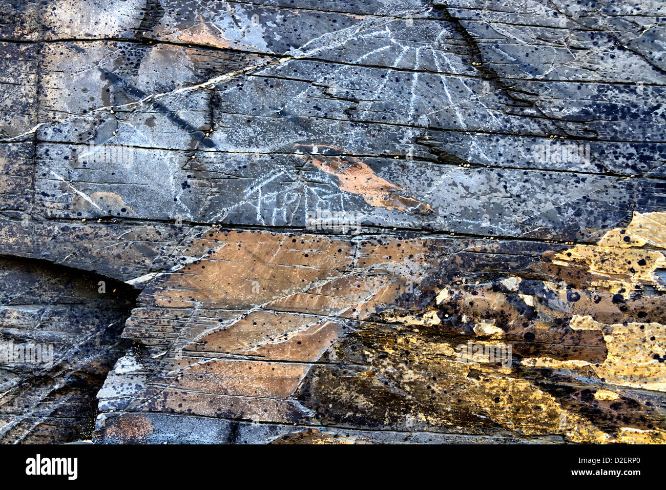 Cliff face showing rock strata, Harlyn Bay, Cornwall, England Stock ...