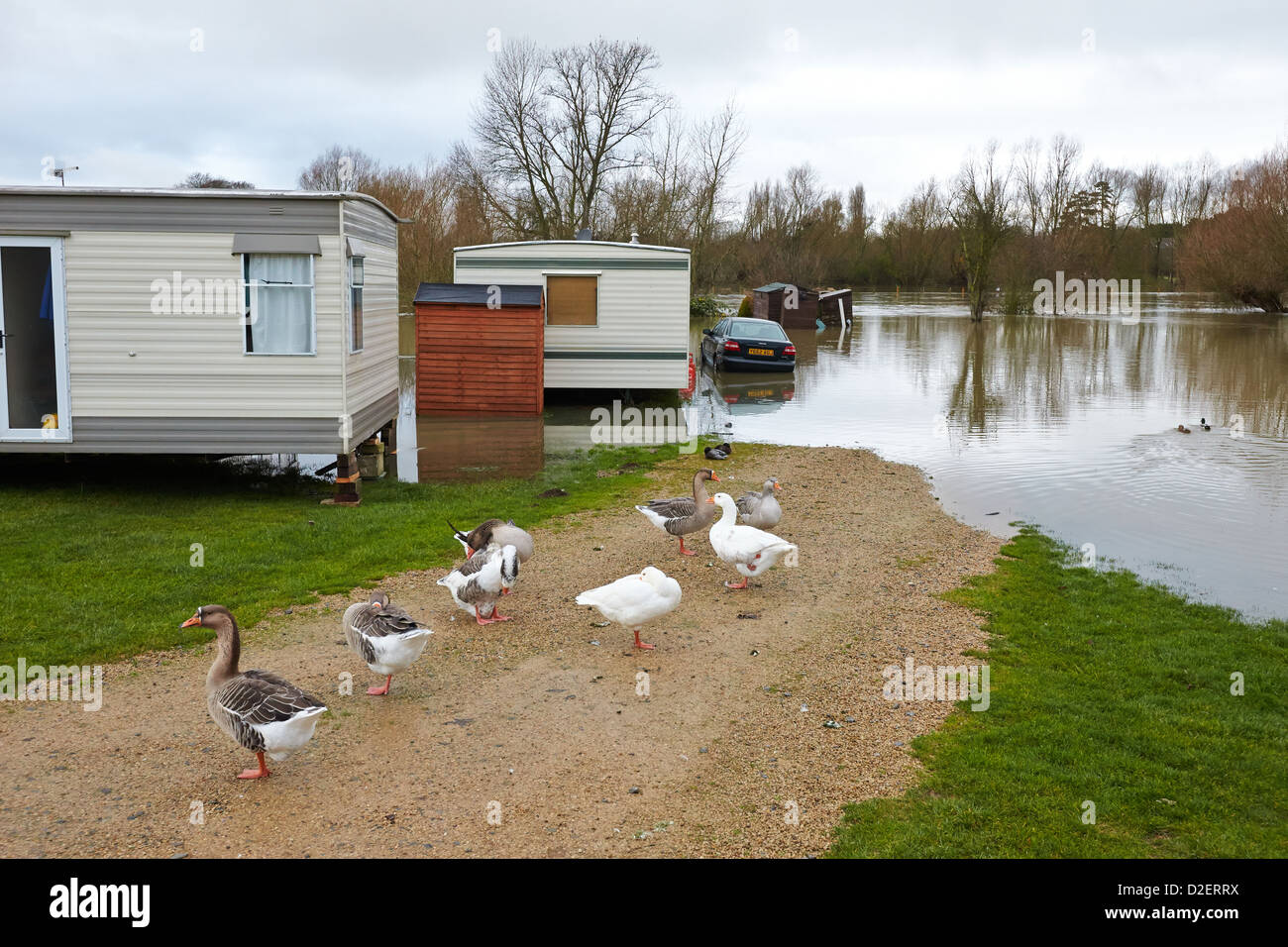 Flooded caravan park floods hi-res stock photography and images - Alamy
