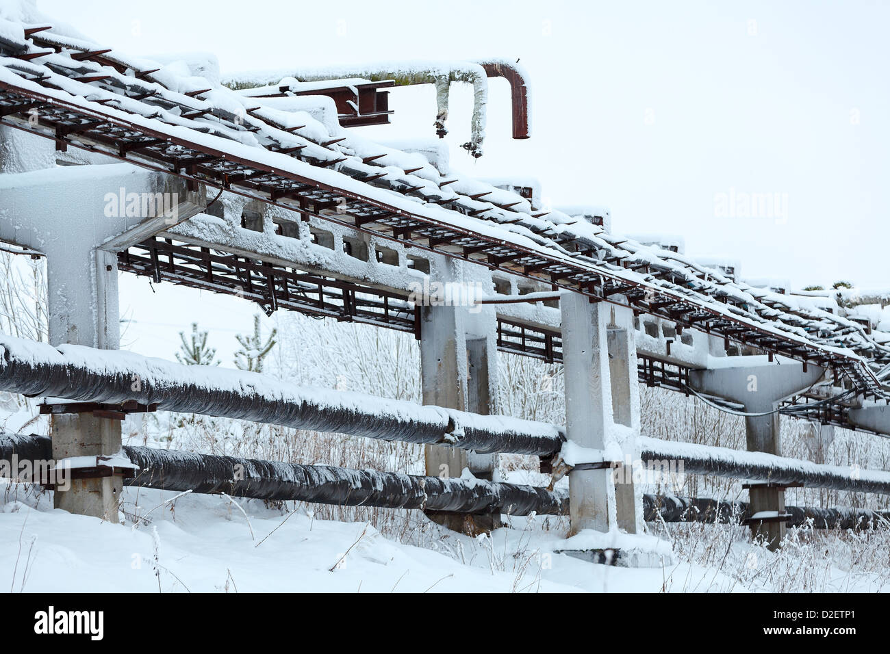 Electrical cables on the poles to supply energy to the plant in winter ...