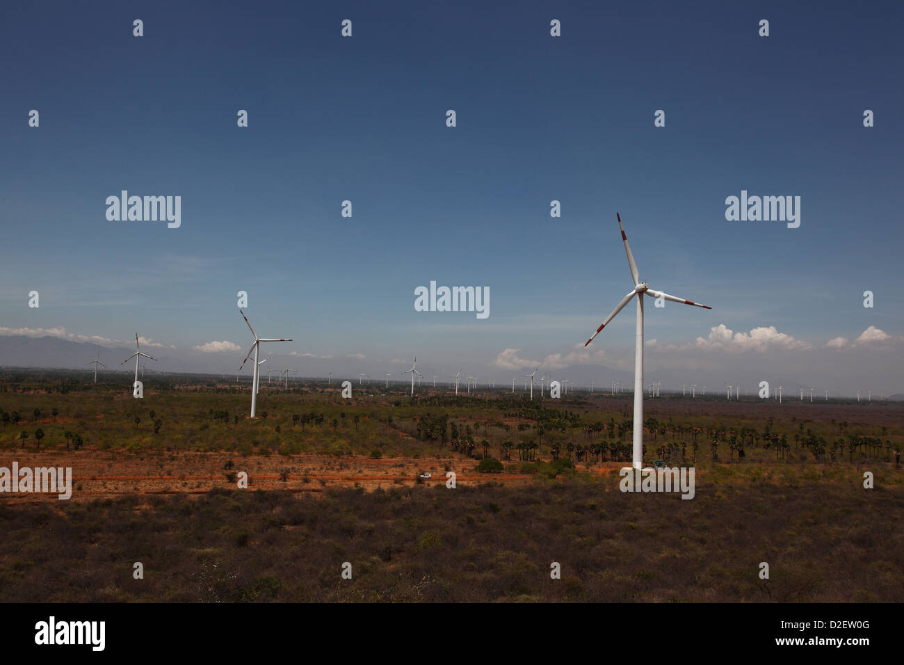 Windmill forest hi-res stock photography and images - Alamy