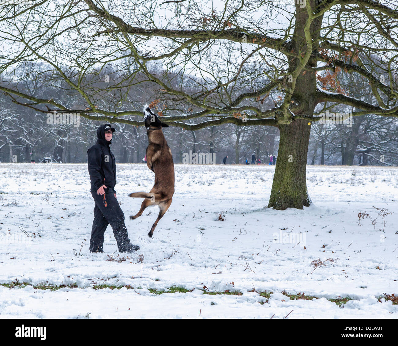 Catching a snowball hi-res stock photography and images - Alamy