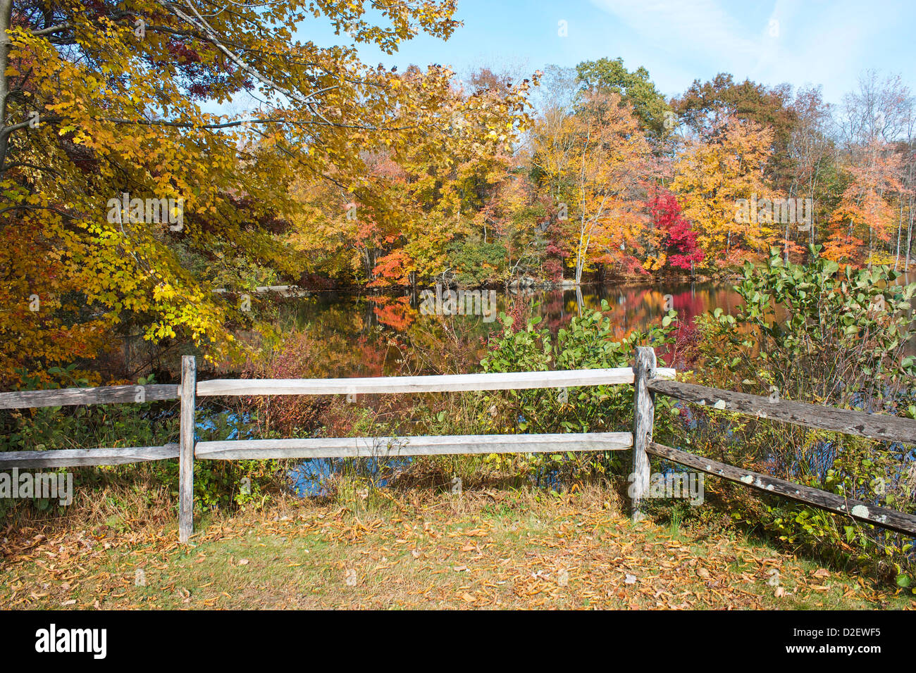 fall foliage by fence on lake Stock Photo - Alamy
