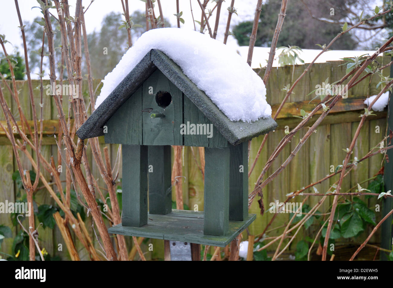 Overnight layer of snow on the roof of a bird table in a suburban ...