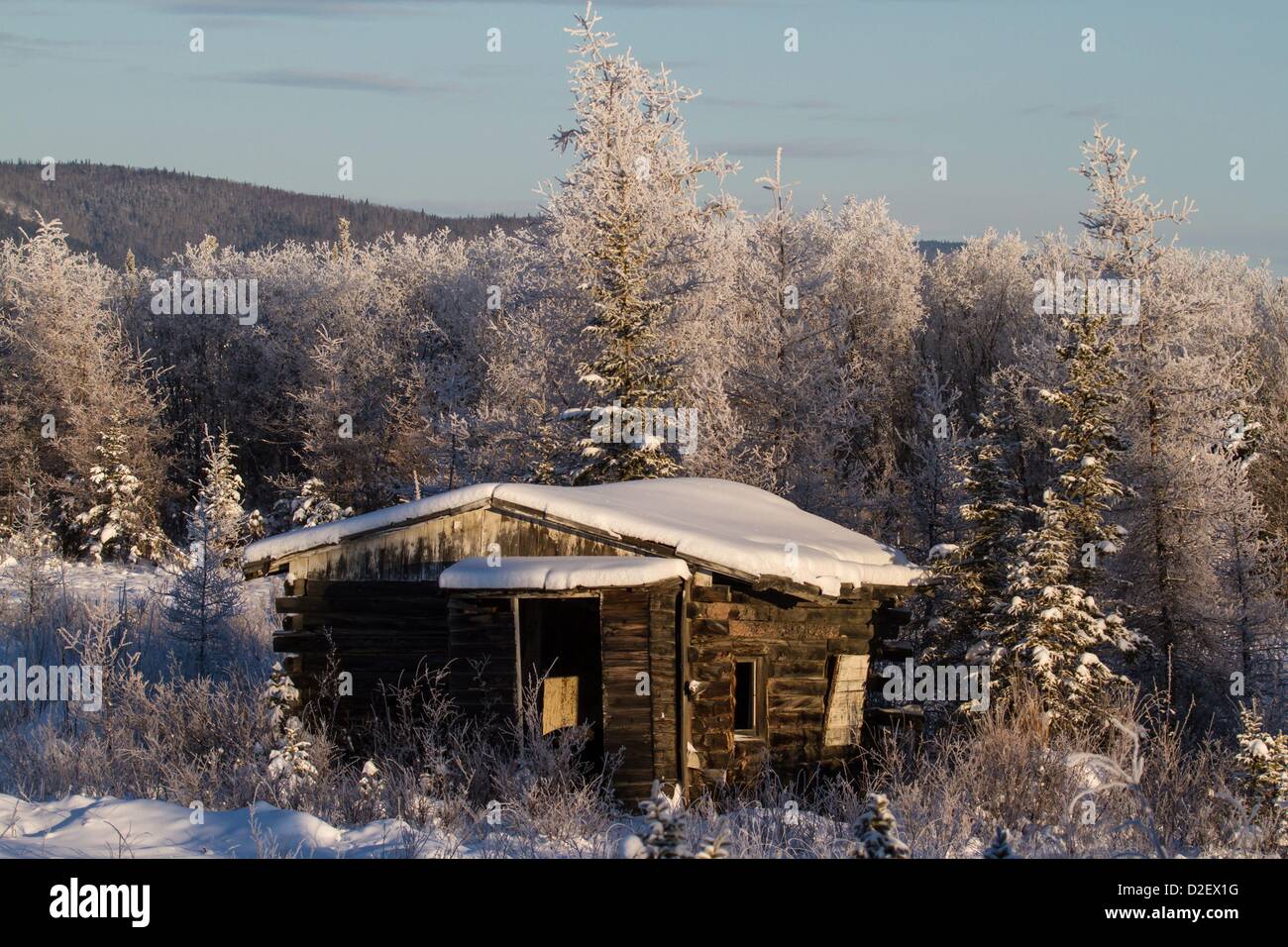 Hut cabin in taiga hi-res stock photography and images - Alamy