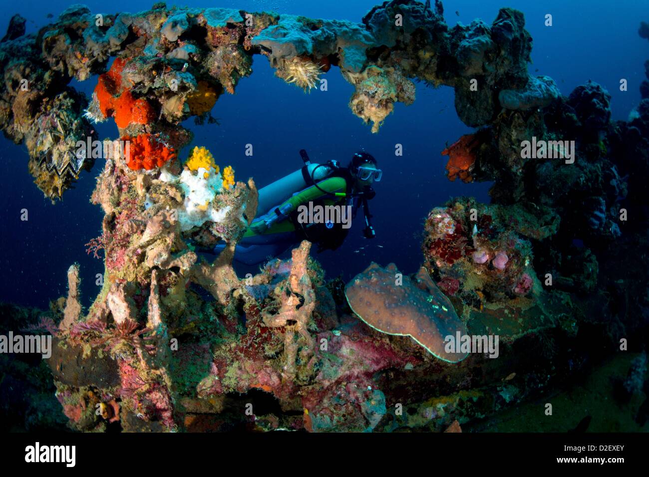 Divers on the Wreck Kyokuzan Maru Japanese freighter, sunk in 1944 ...