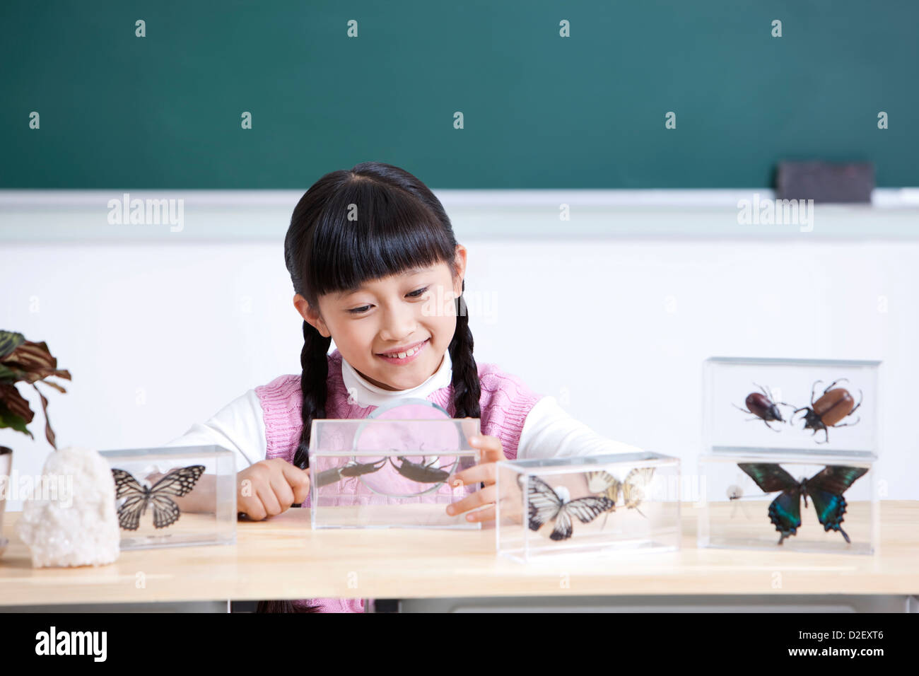 Child magnifying glass butterfly hi-res stock photography and images ...