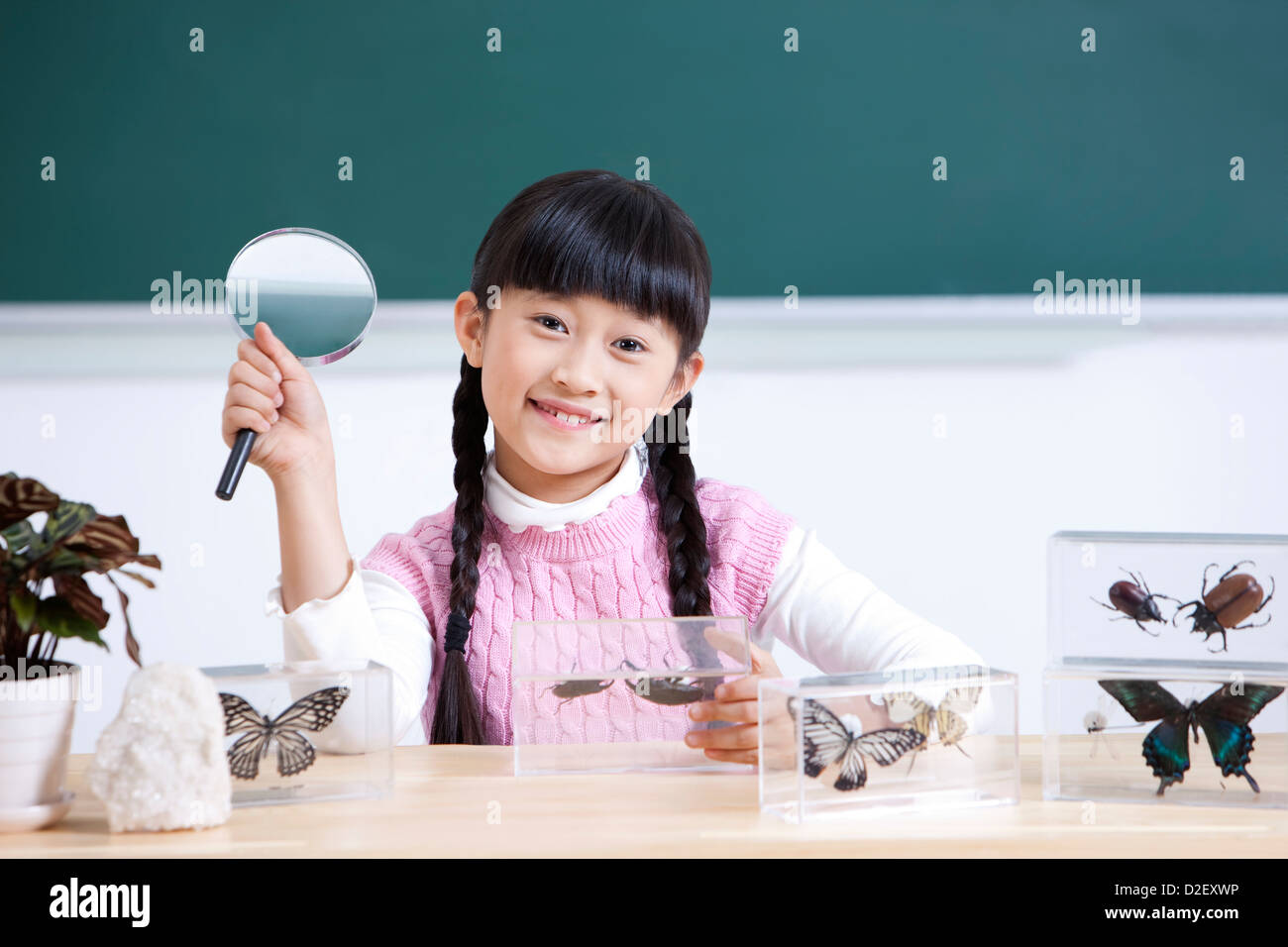 Children insect magnifying glass hi-res stock photography and images ...