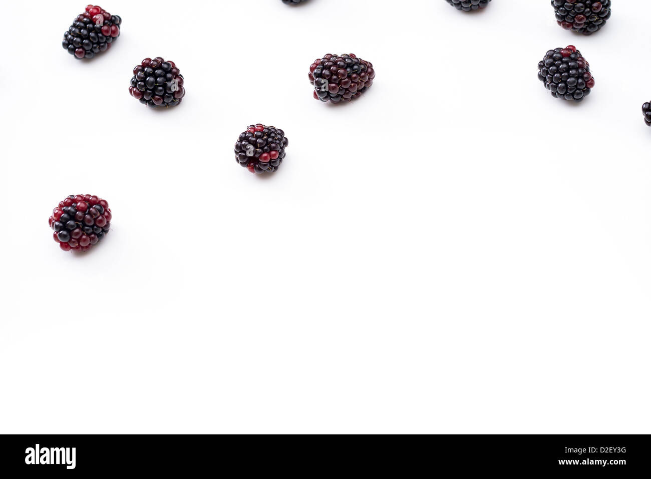 Close-up of fresh blackberries on white background Stock Photo - Alamy