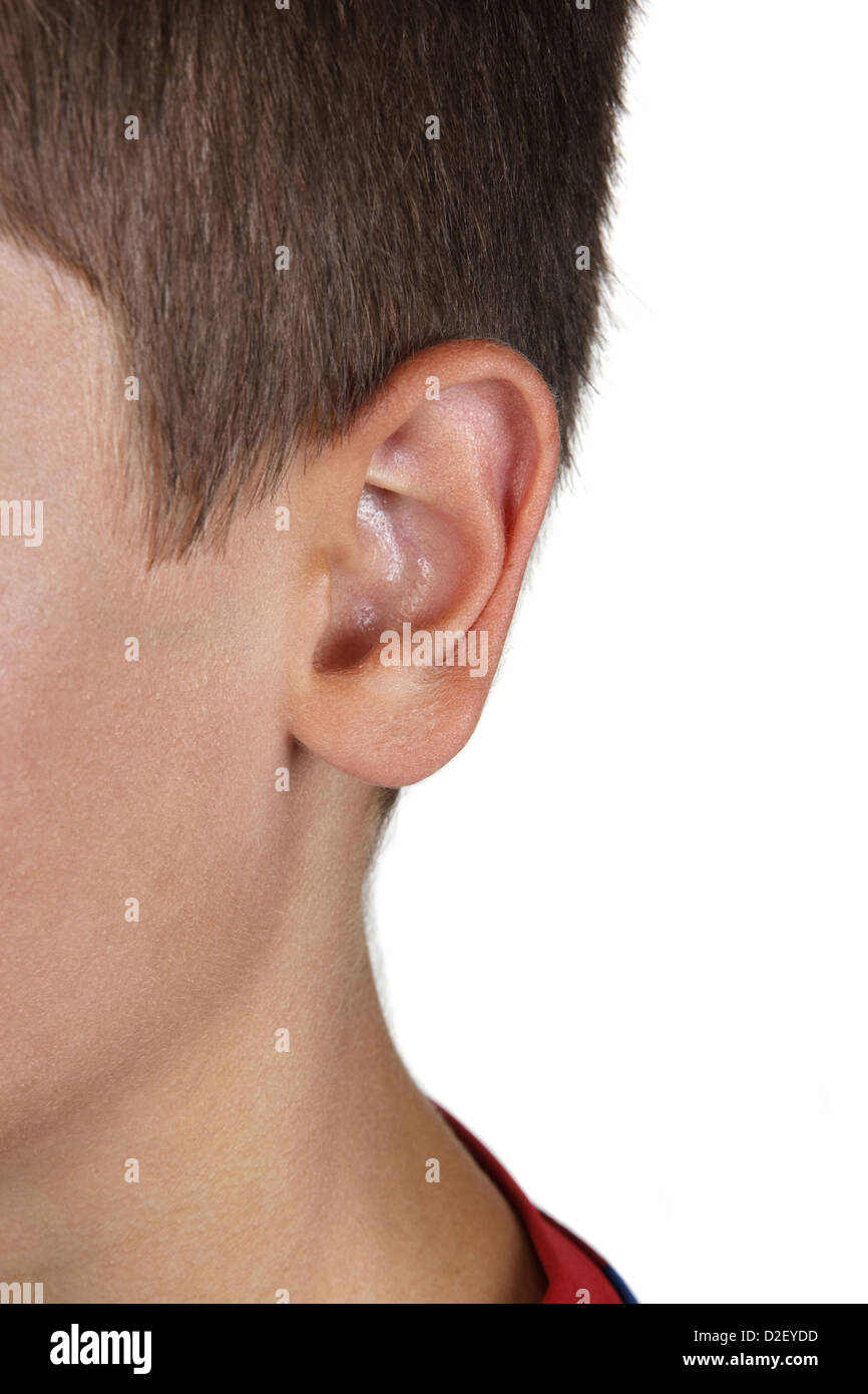 Close-Up Of Young Boy's Ear, isolated on white background Stock Photo ...