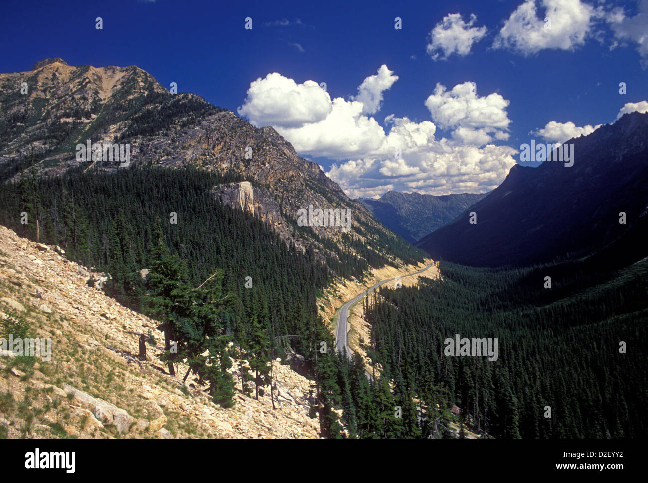 North Cascades Highway, Route 20, east side of, Washington Pass ...