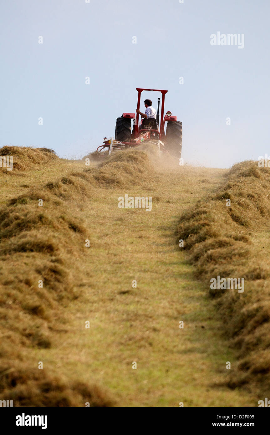 Vintage tractor ireland hi-res stock photography and images - Alamy