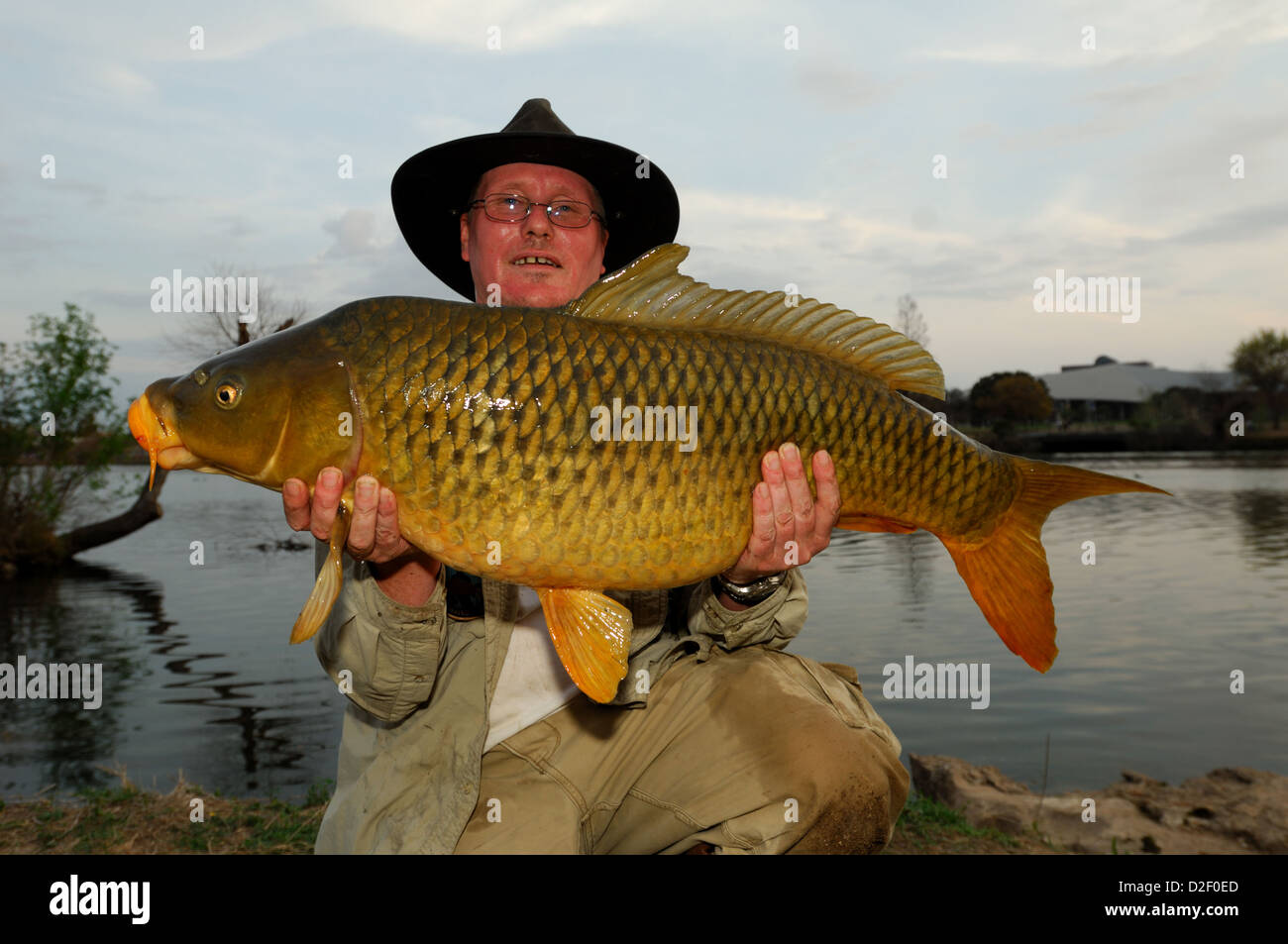 Man holding a common carp (Cyprinus carpio) at Lady Bird Lake, Austin ...