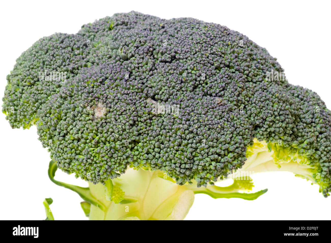 Broccoli florets cut out hi-res stock photography and images - Alamy