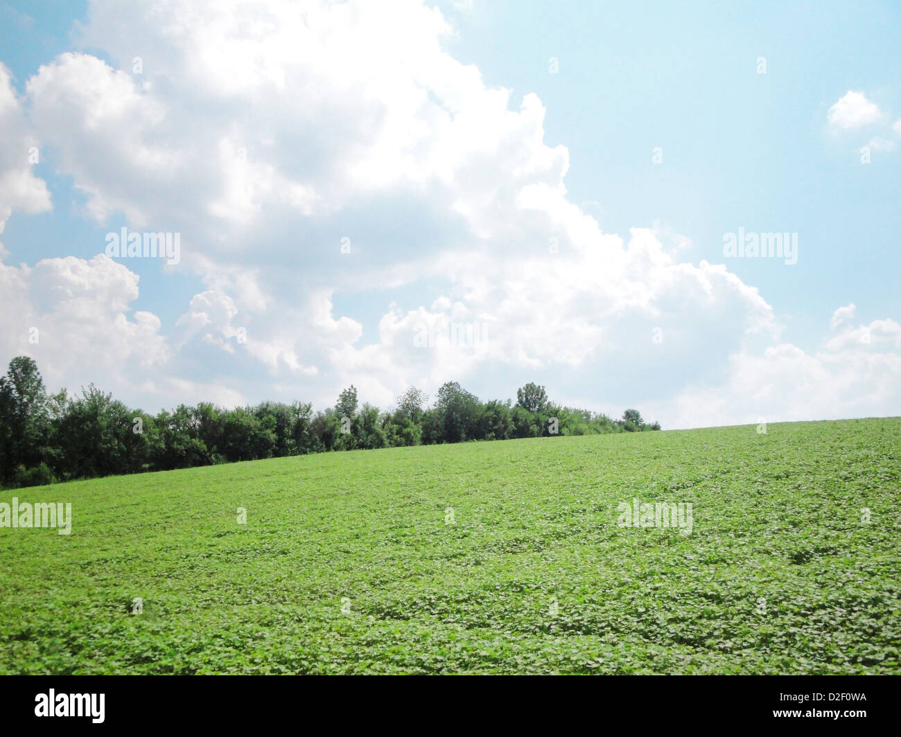 Beautiful summer landscape Stock Photo - Alamy