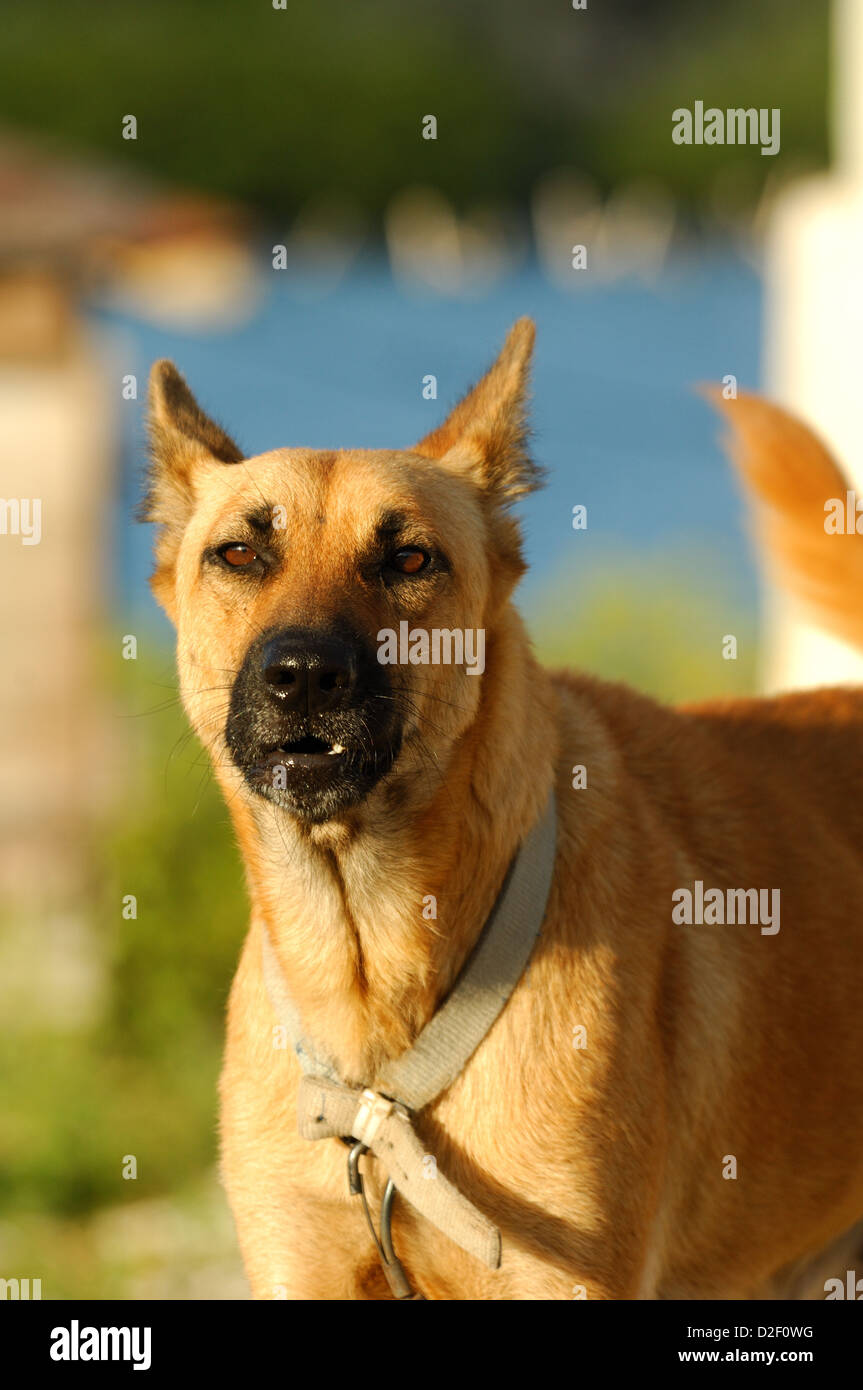 Ragged island bahamas hi-res stock photography and images - Alamy