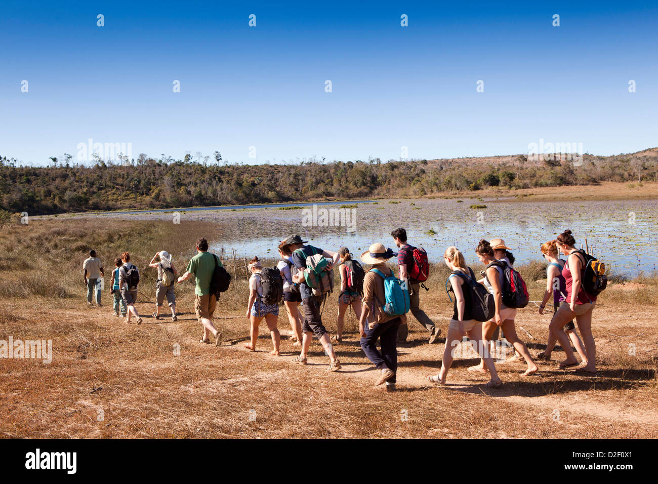 Madagascar, Operation Wallacea, Matsedroy, sixth form students walking ...