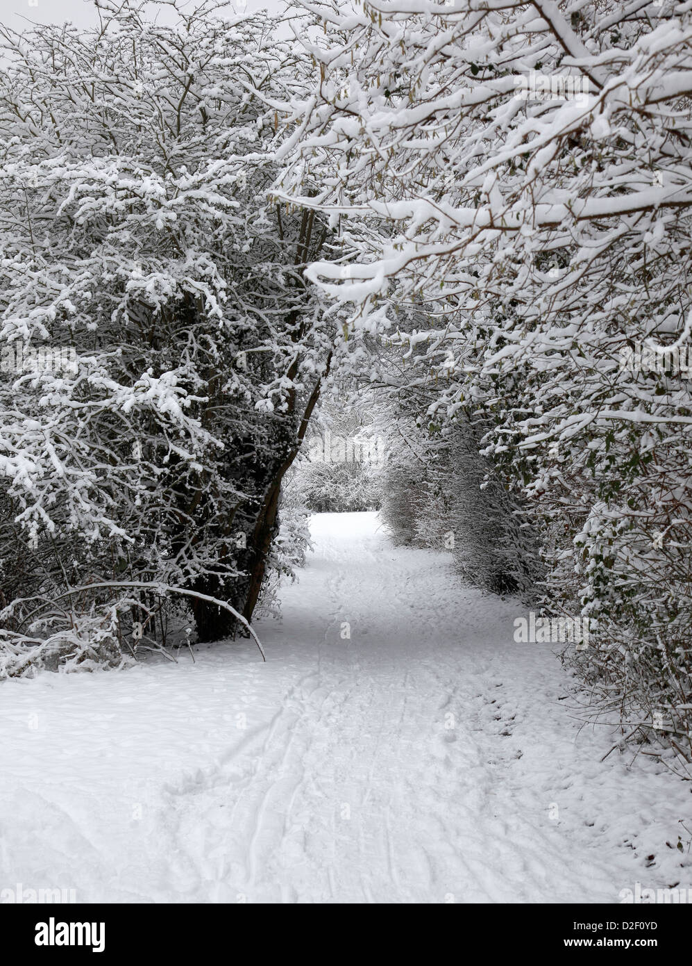 Covered footpath hi-res stock photography and images - Alamy