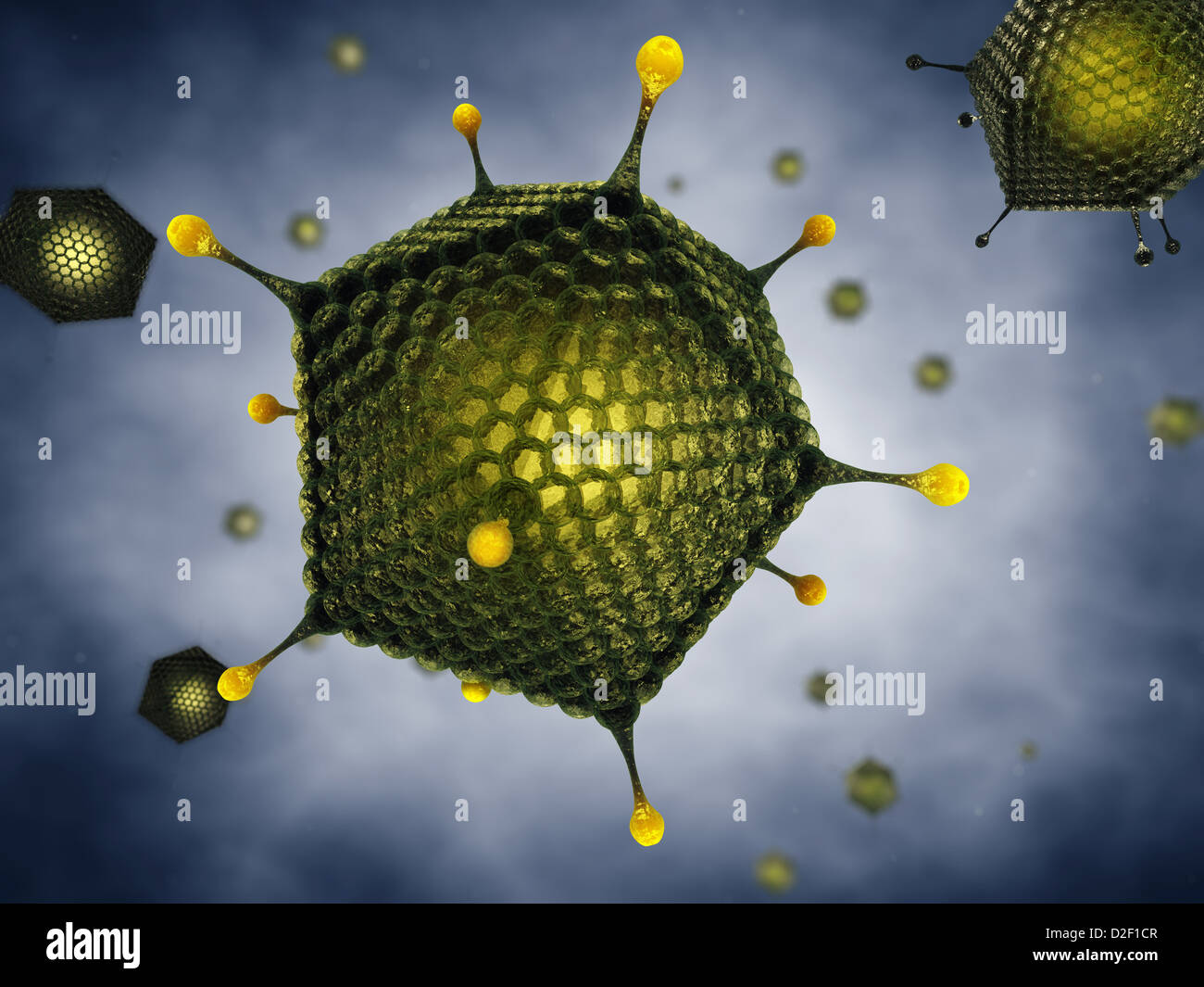 Icosahedral viruses , Adenoviridae , 3d illustration Stock Photo - Alamy