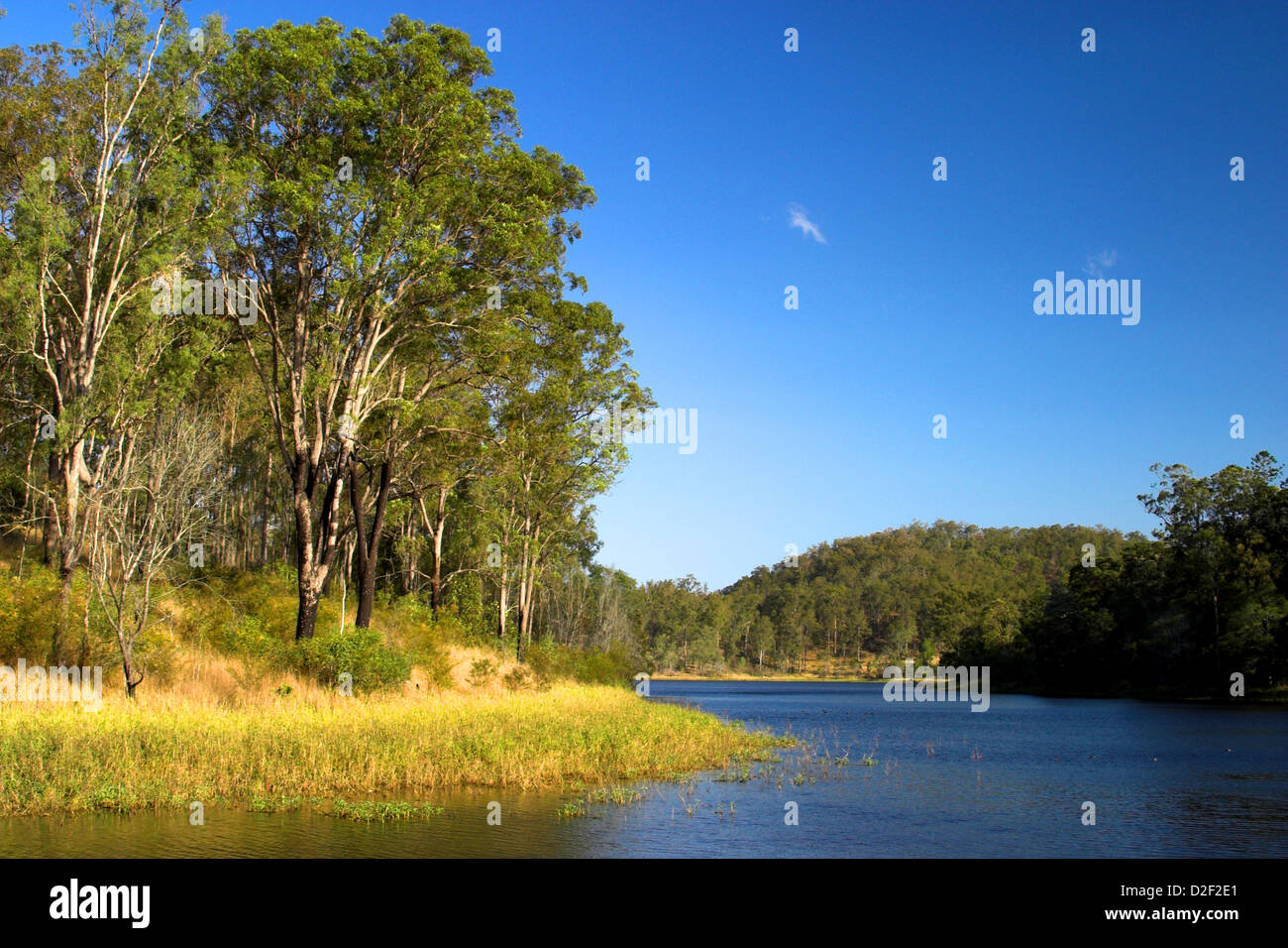 Brisbane Forrest Park Queensland Australia Stock Photo - Alamy