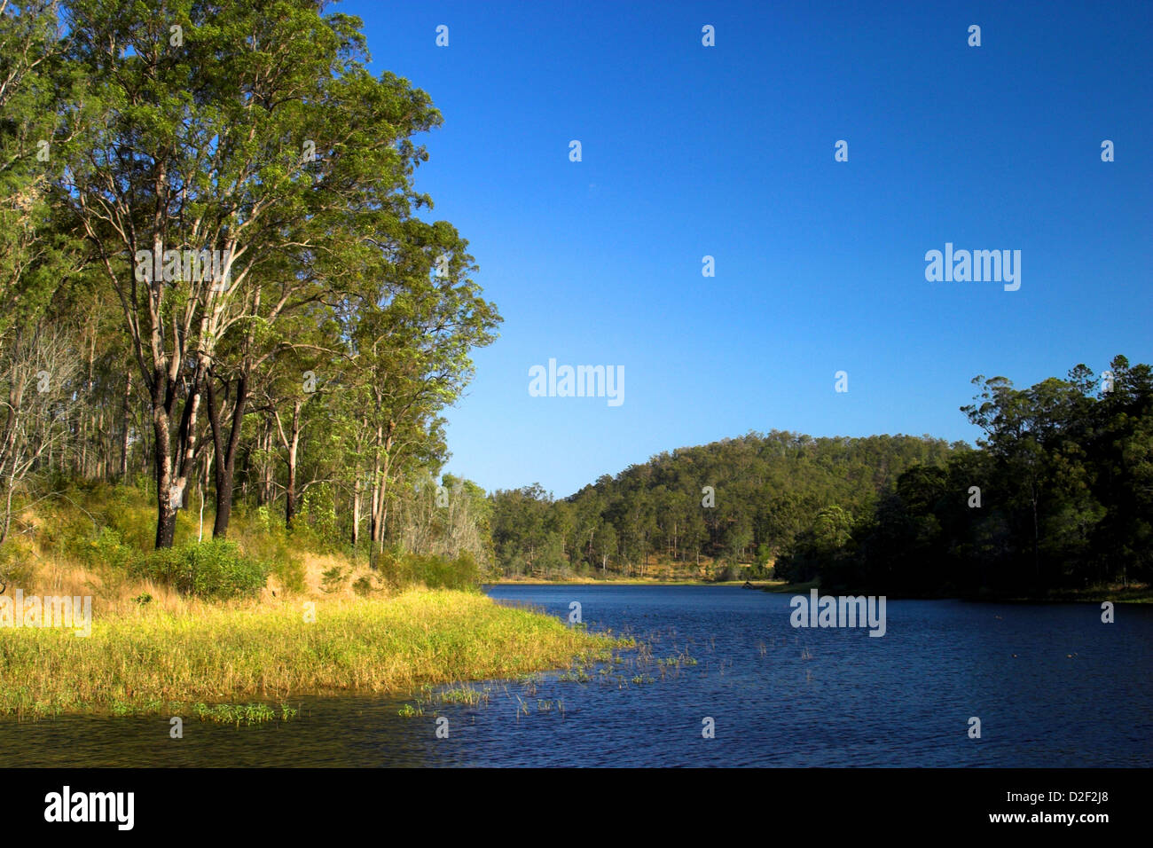 Brisbane Forrest Park Queensland Australia Stock Photo - Alamy