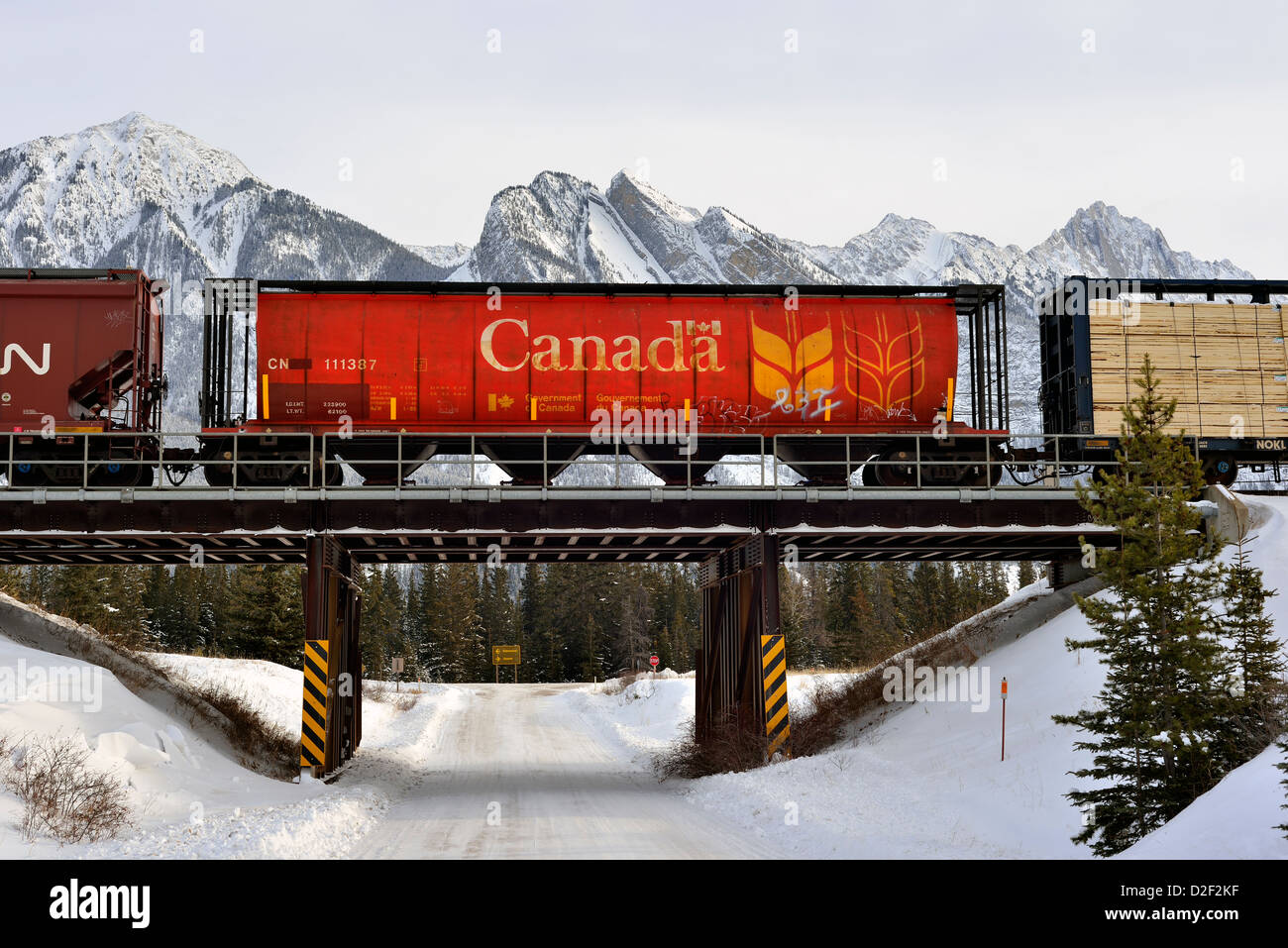 Rail cars of a C.N. freight train crossing a train bridge over a ...